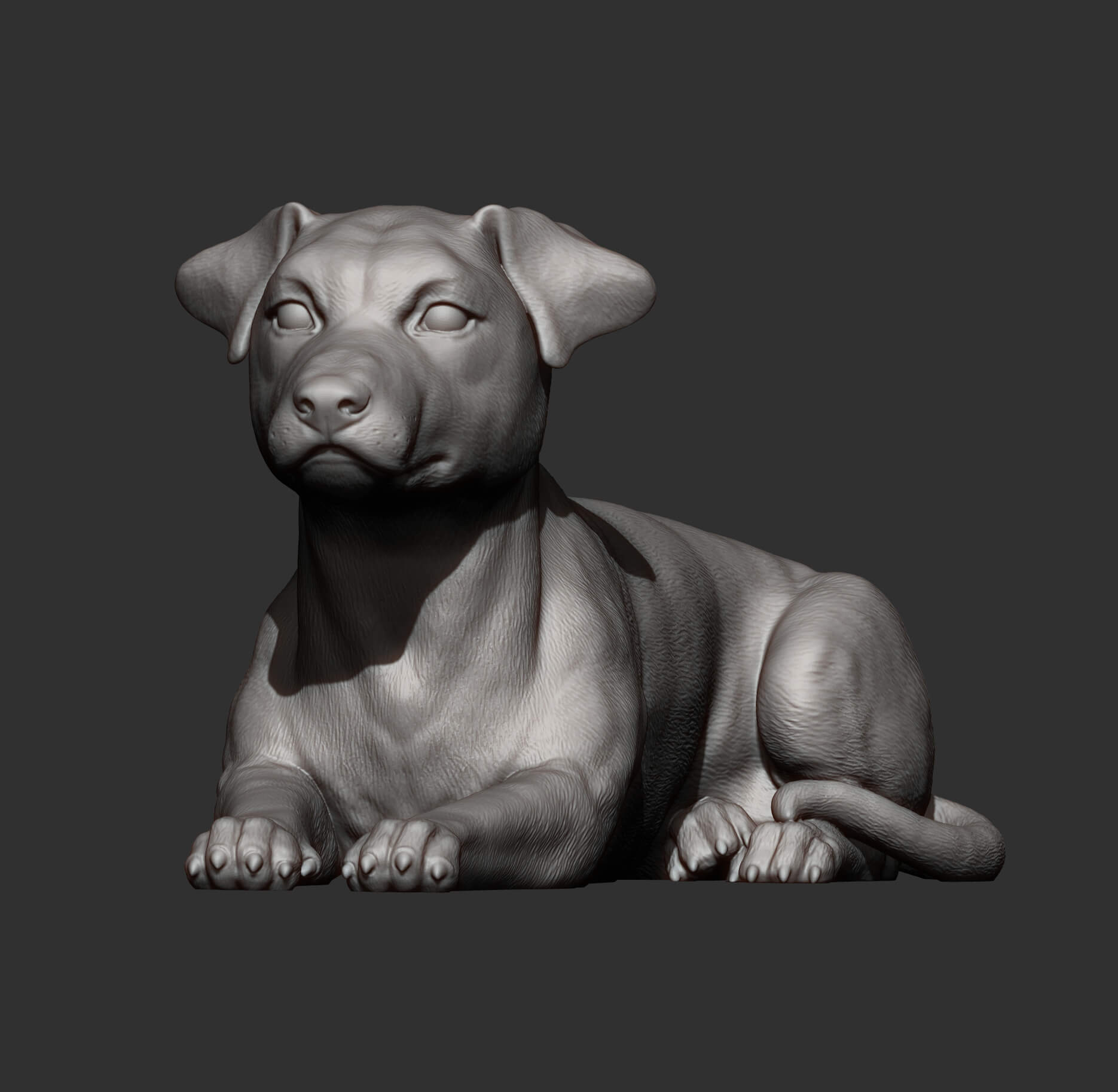 Jack Russell Terrier Lying Down - 3D Model by Alexander3dart