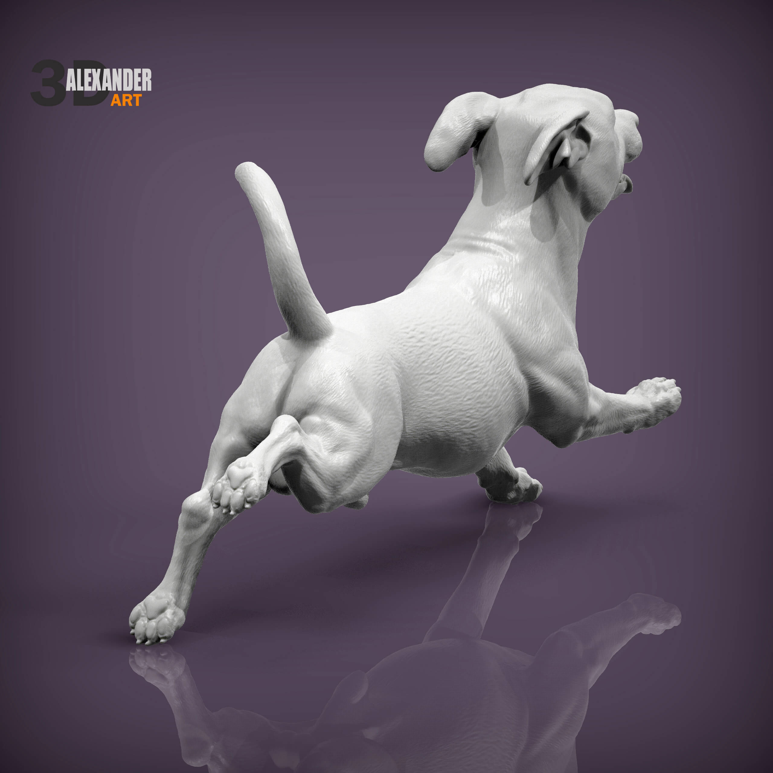 Jack Russell Terrier Running - 3D Model by Alexander3dart