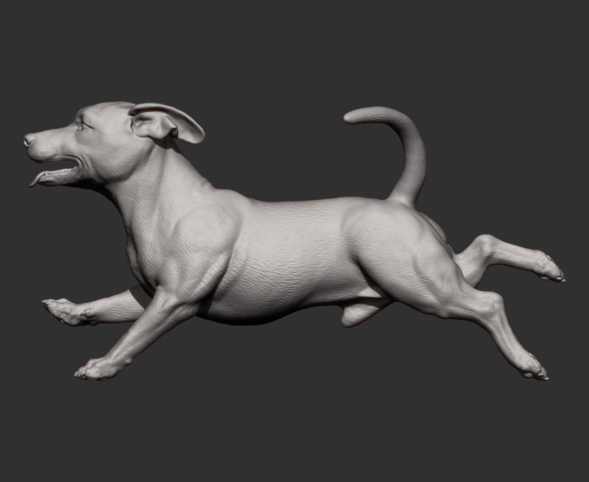 Jack Russell Terrier Running - 3D Model by Alexander3dart