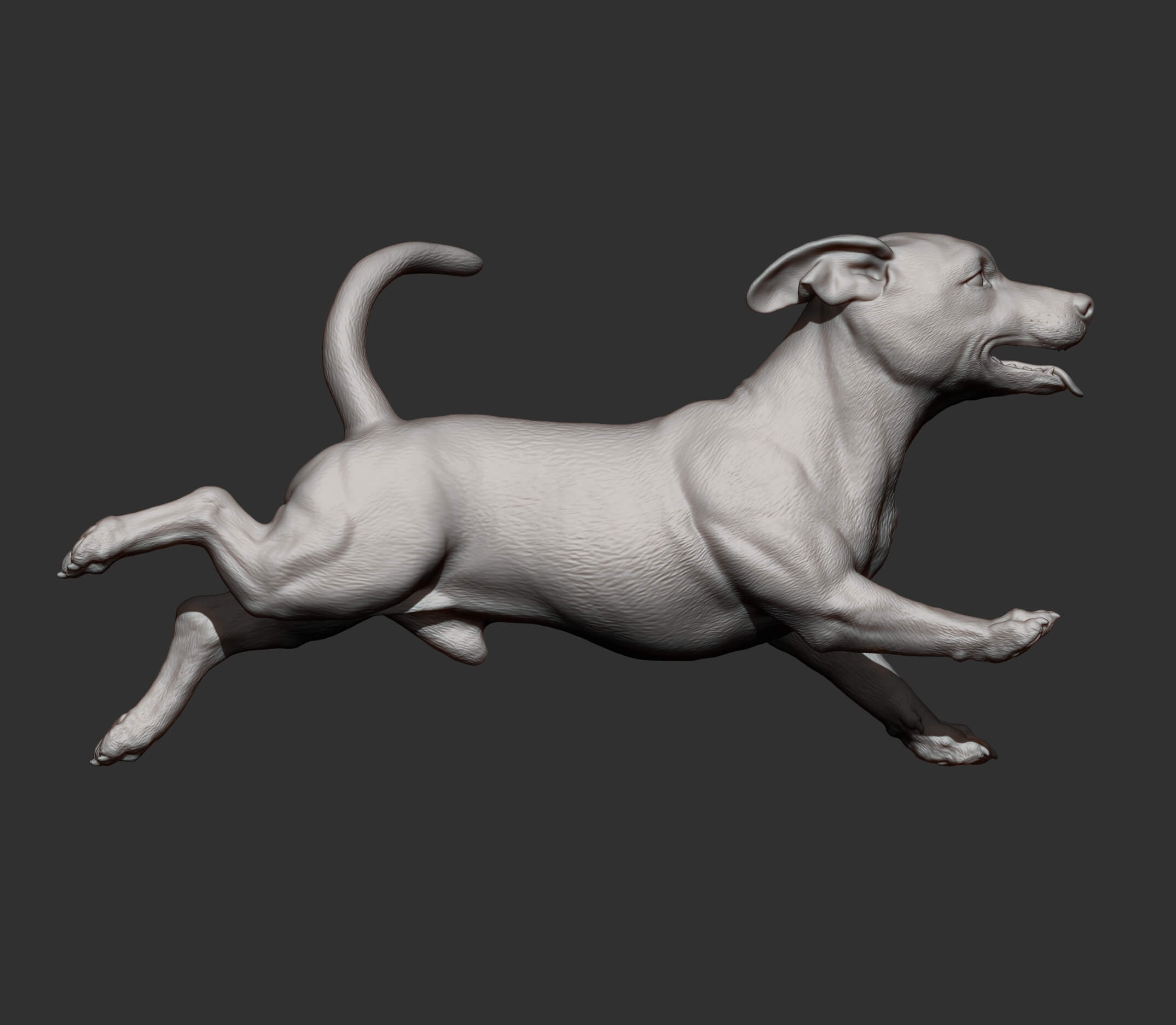 Jack Russell Terrier Running - 3D Model by Alexander3dart