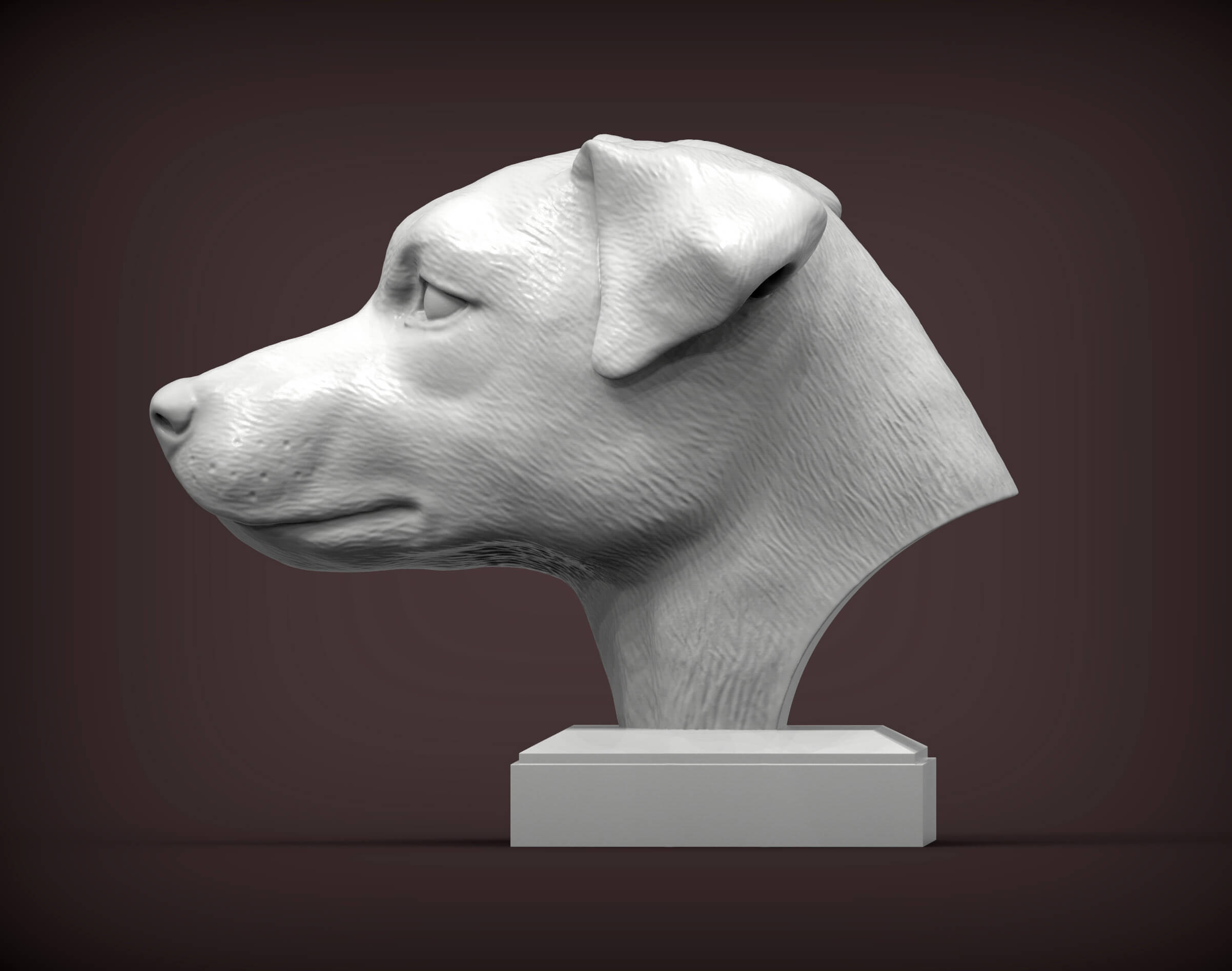 Jack Russell Terrier - 3D Model by Alexander3dart