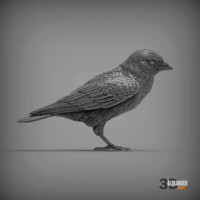 Jackdaw Sculpture - 3D Model by Alexander3dart