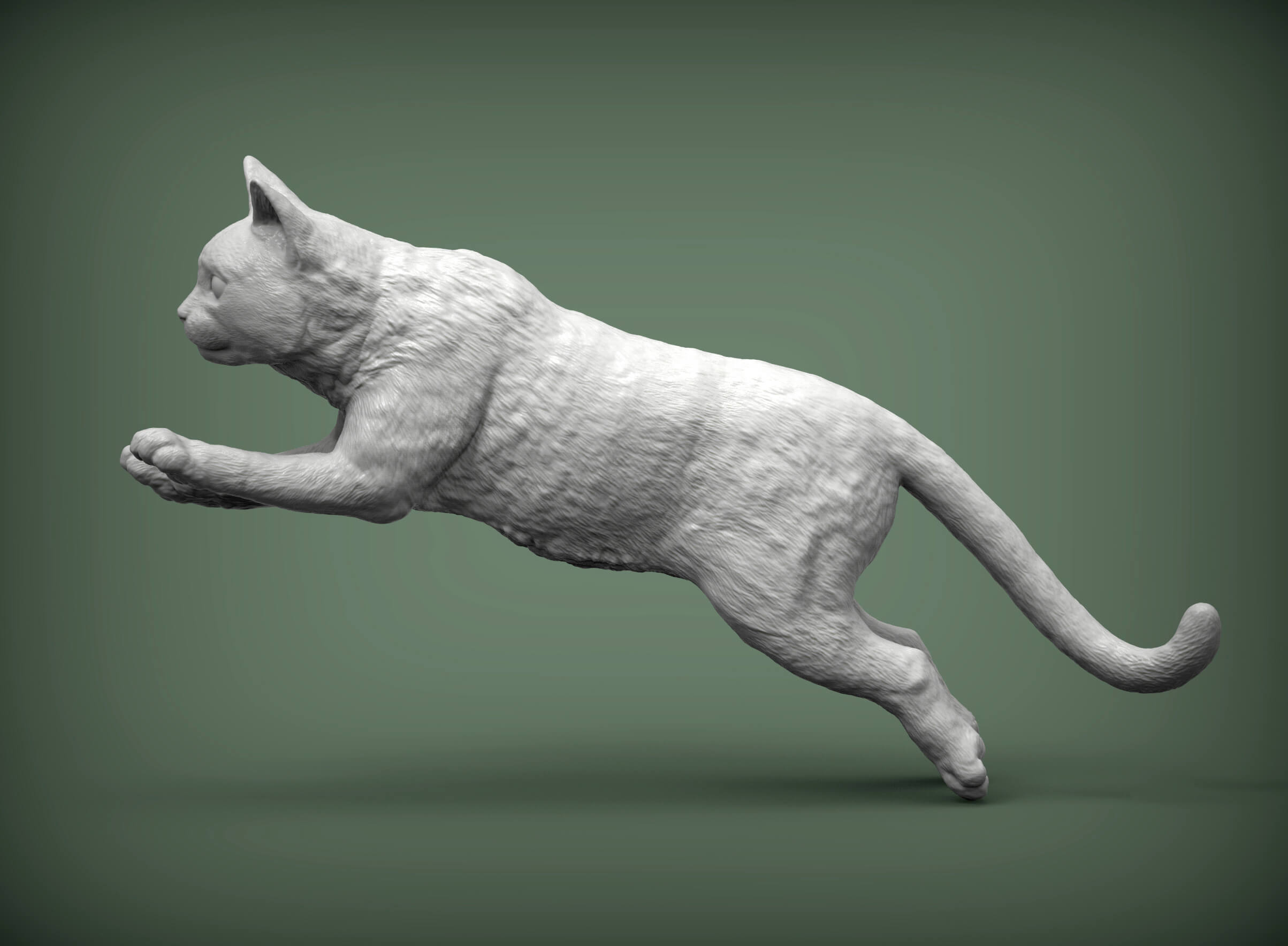 Jumping Cat 3D Print Model by Alexander3dart