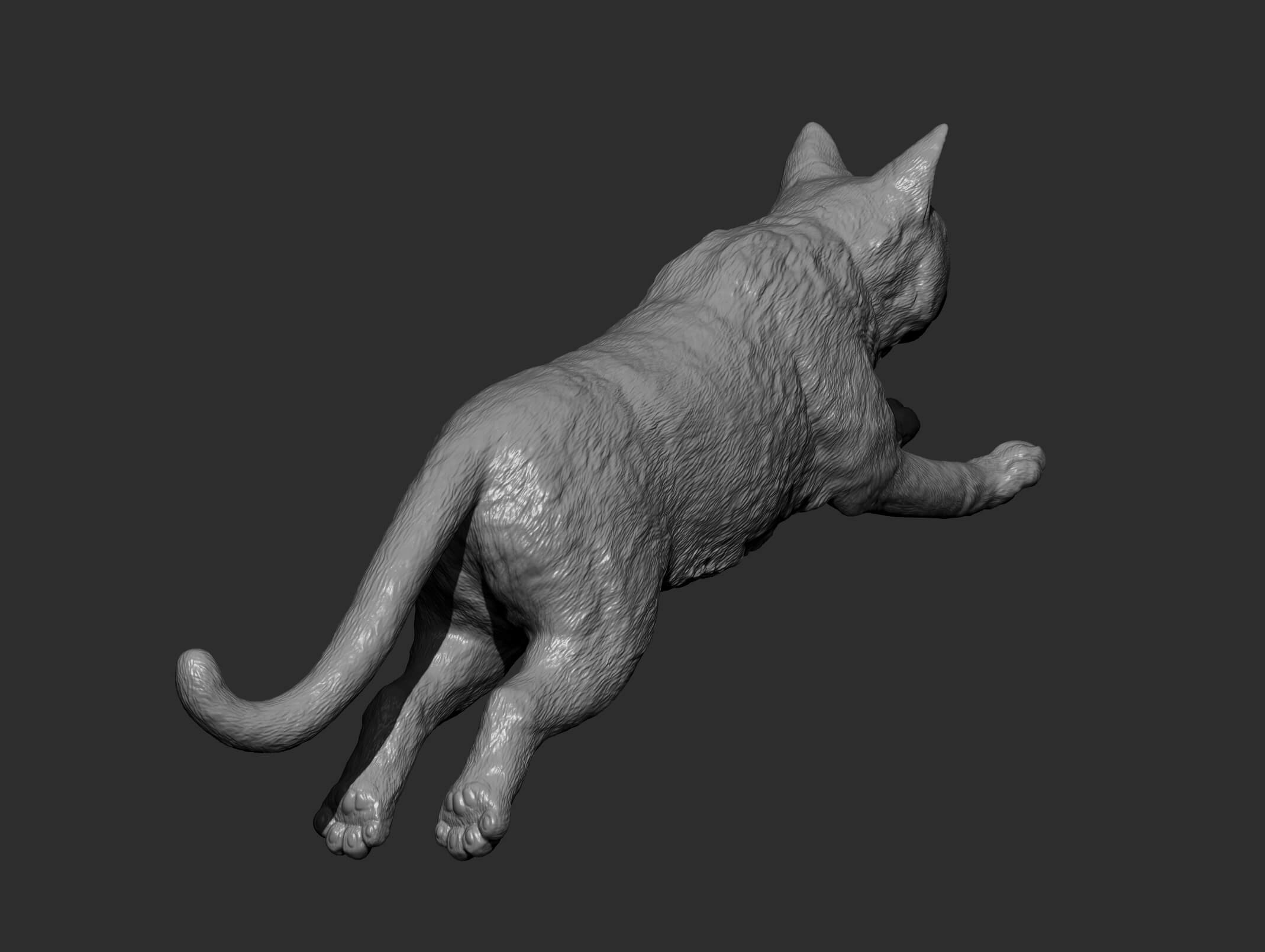 Jumping Cat 3D Print Model by Alexander3dart