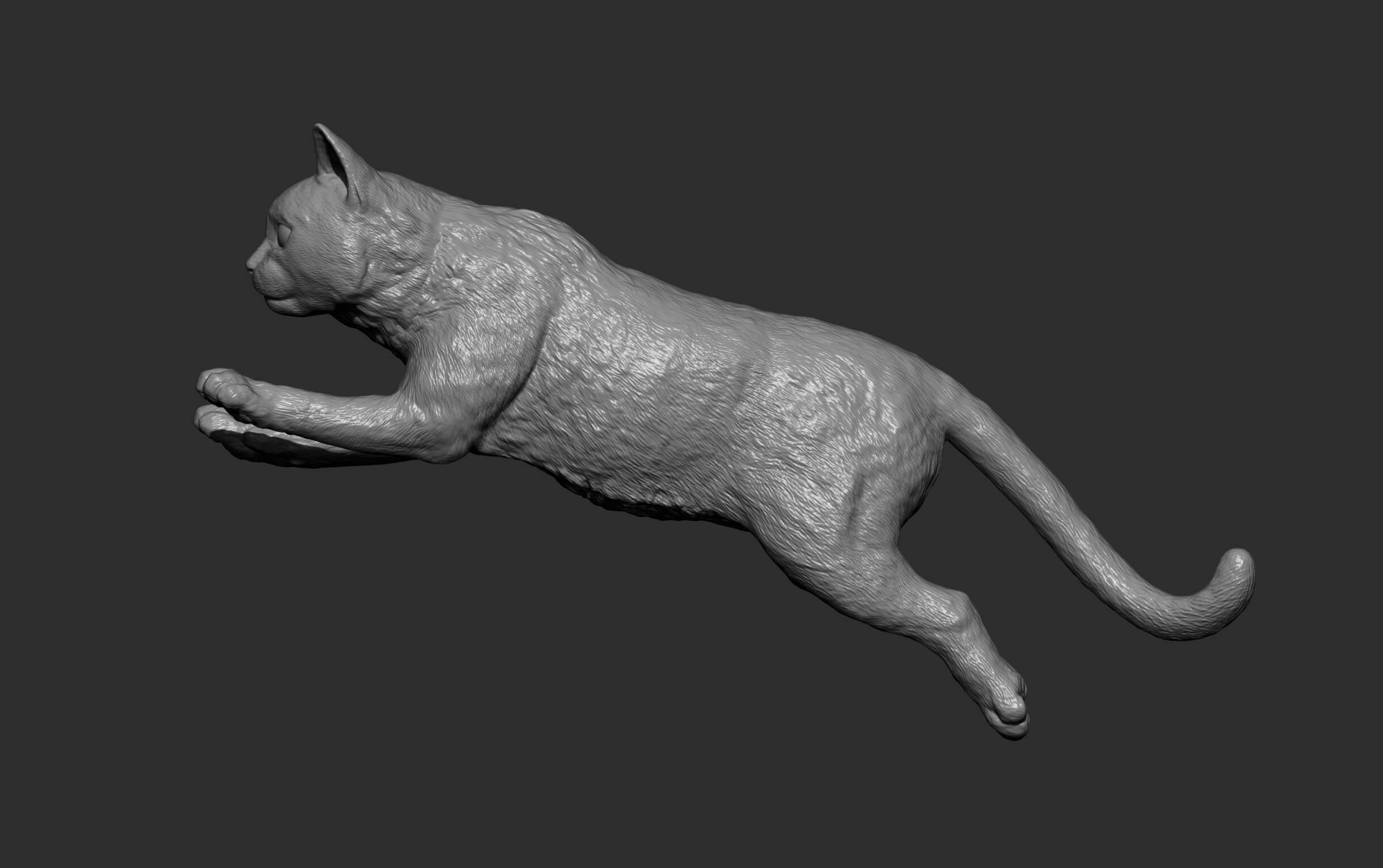 Jumping Cat 3D Print Model by Alexander3dart