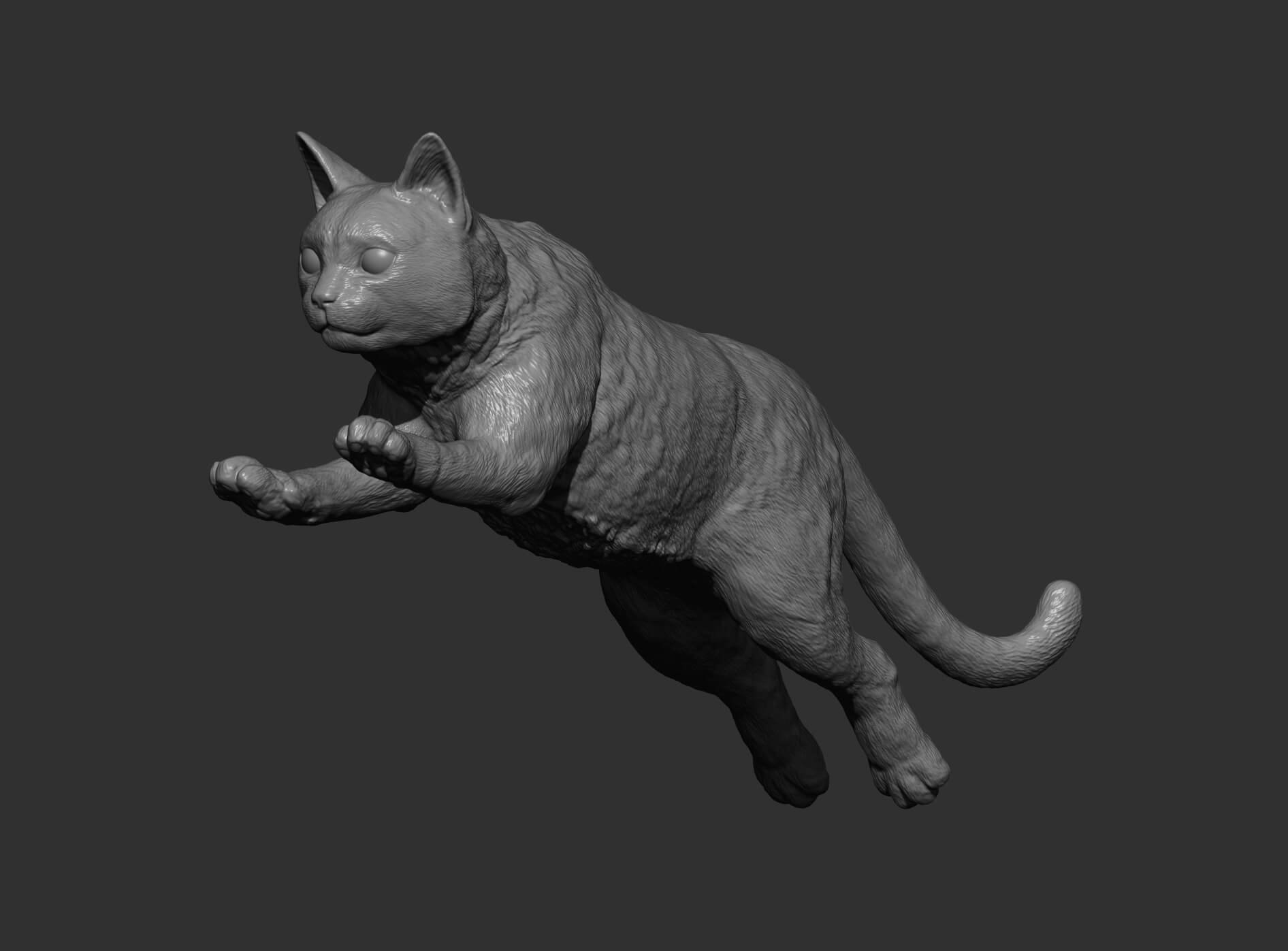Jumping Cat 3D Print Model by Alexander3dart