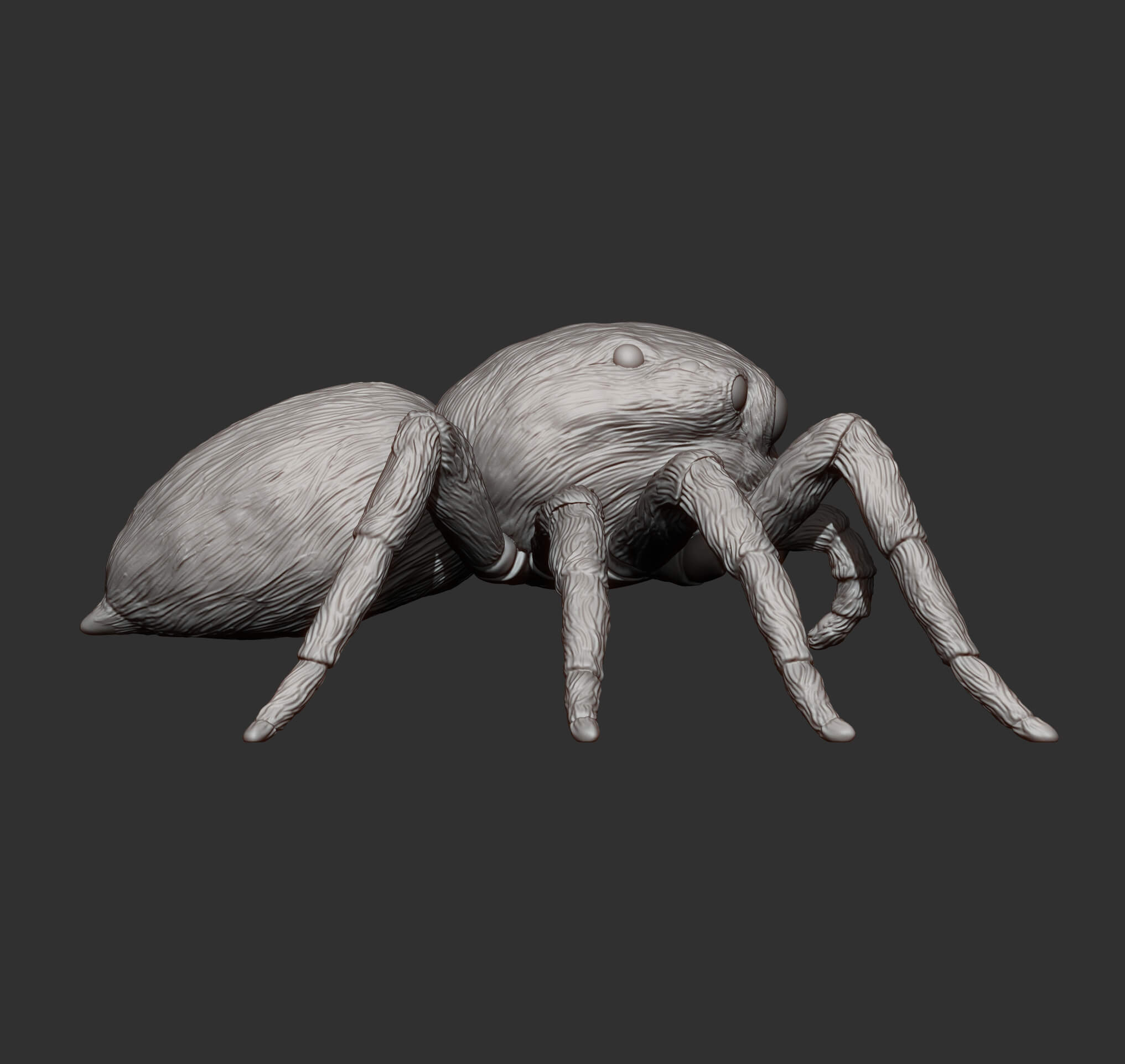 Jumping Spider - 3D Model by Alexander3dart