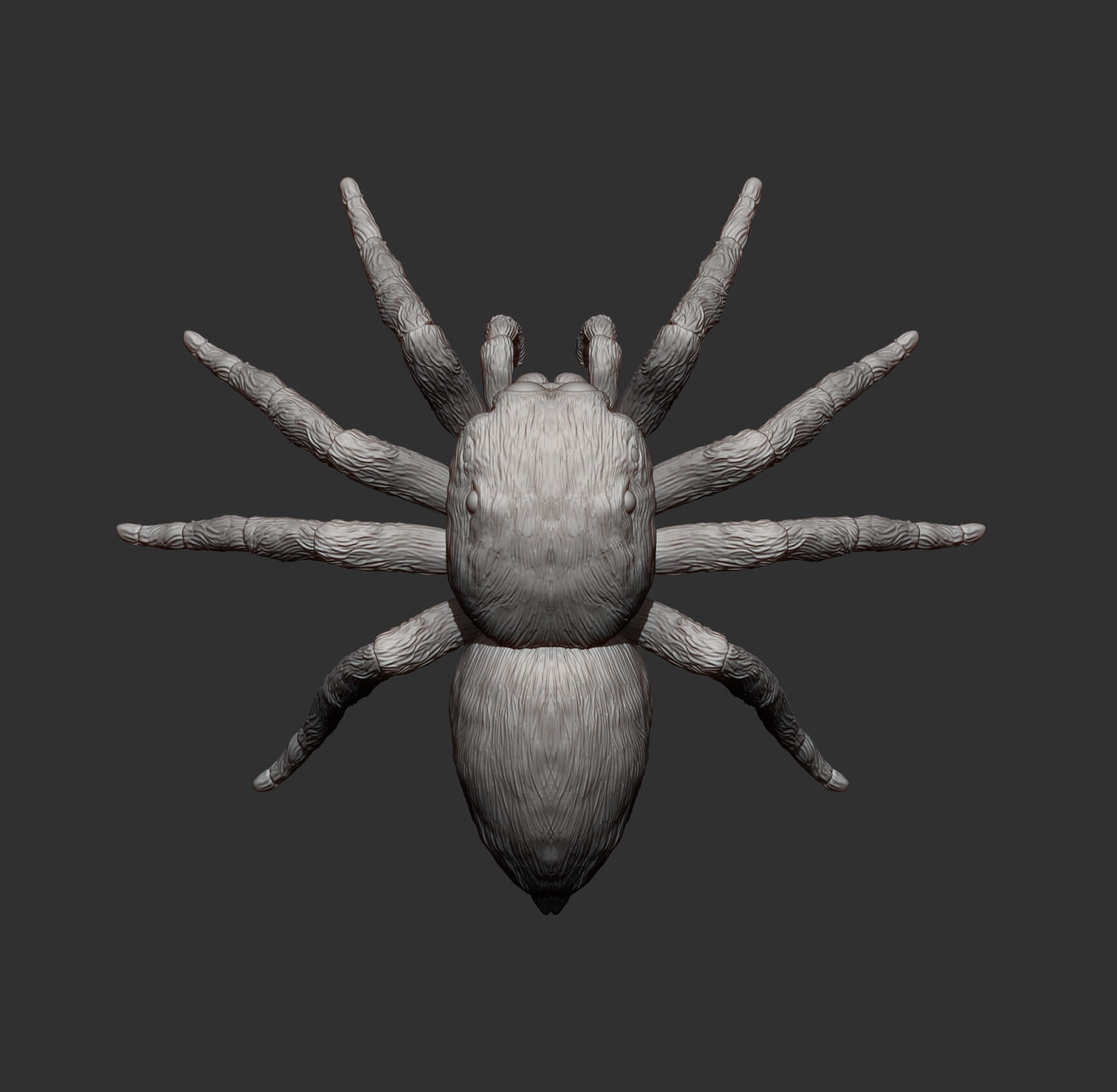 Jumping Spider - 3D Model by Alexander3dart