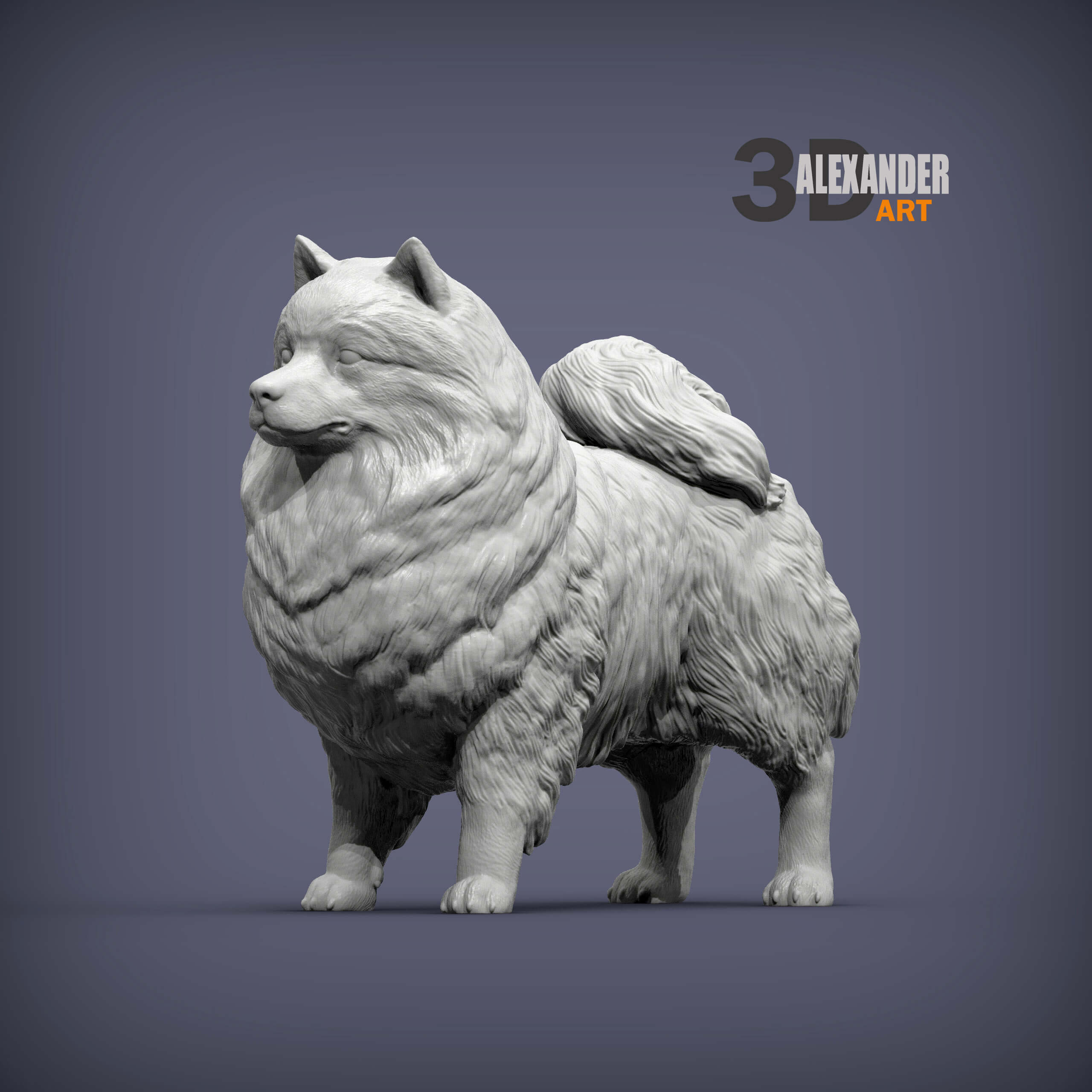 Keeshond Sculpture - 3D Model by Alexander3dart