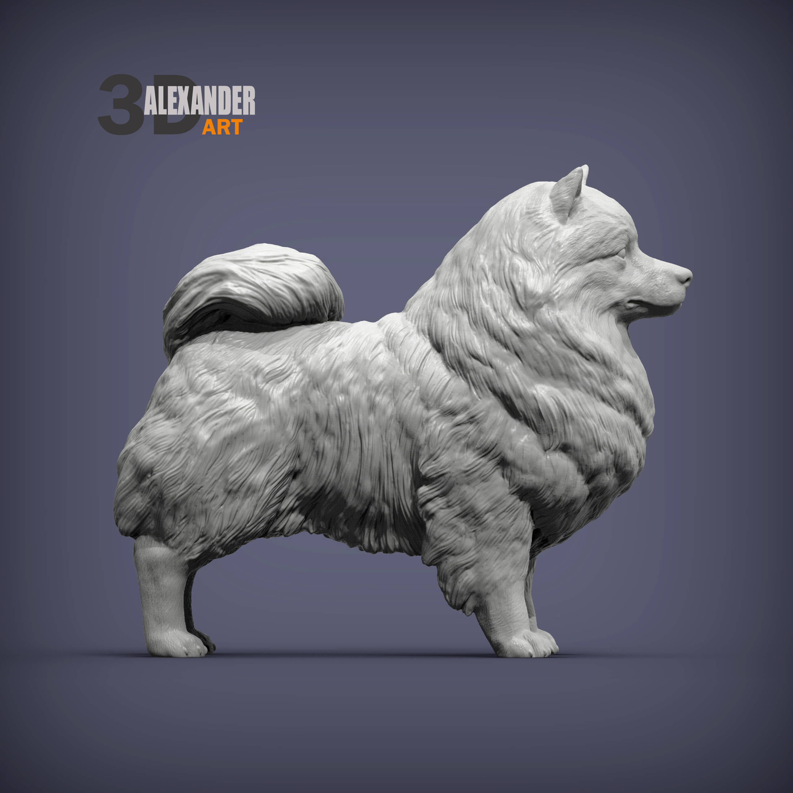 Keeshond Sculpture - 3D Model by Alexander3dart