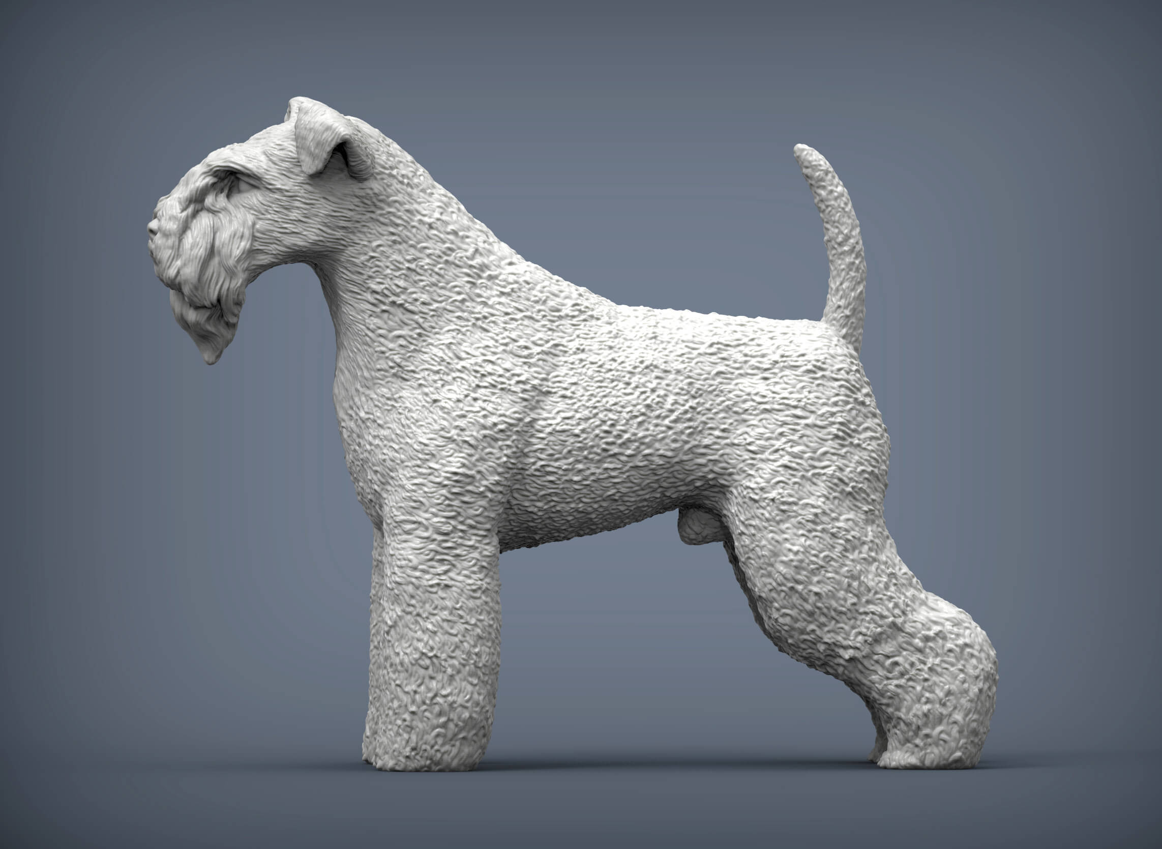 Kerry Blue Terrier 3D Print Model by Alexander3dart