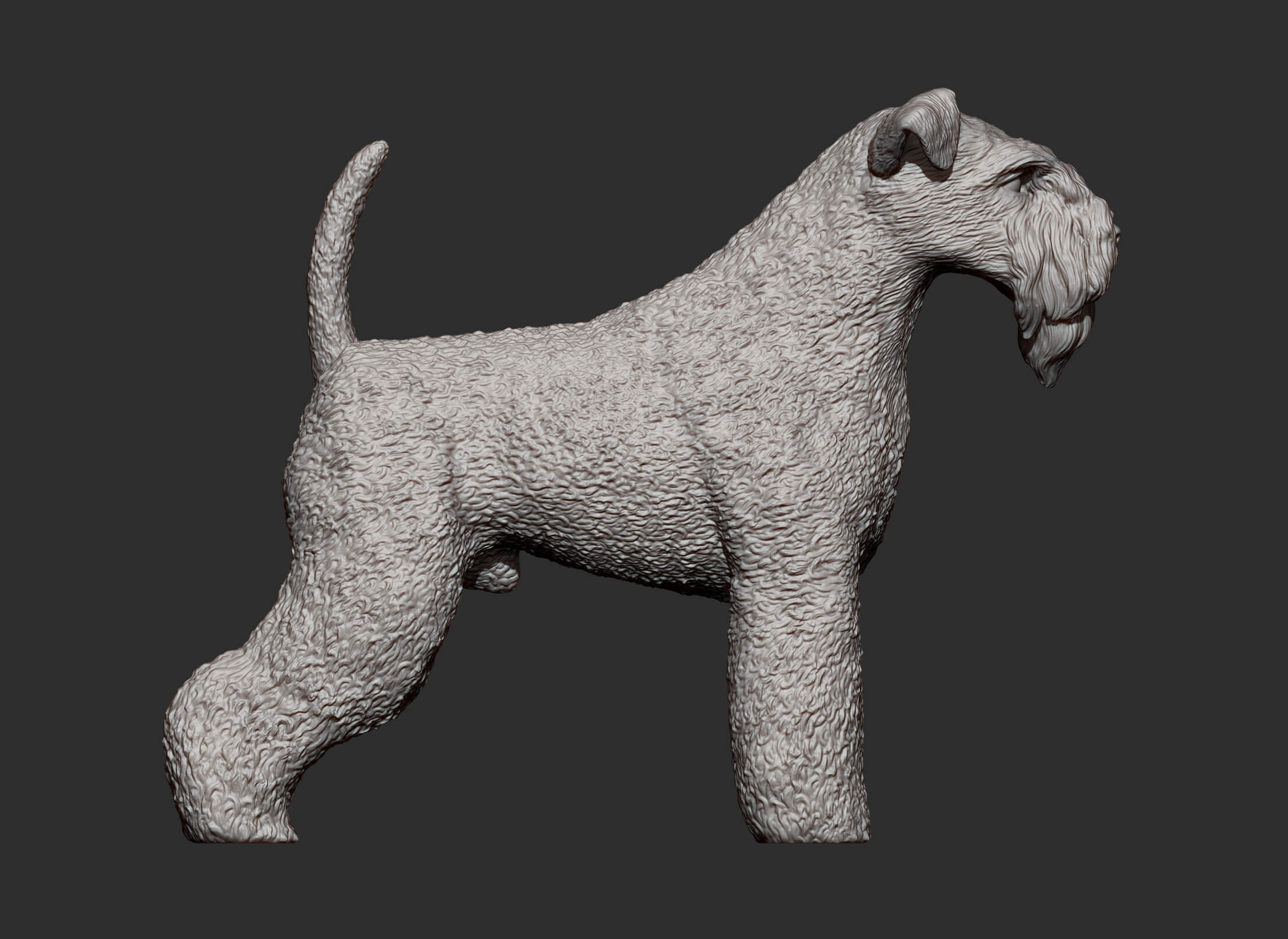 Kerry Blue Terrier 3D Print Model by Alexander3dart