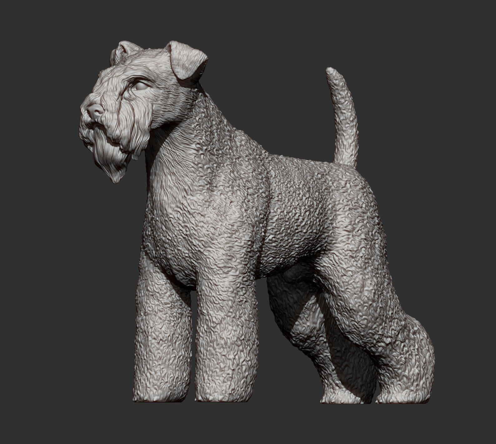 Kerry Blue Terrier 3D Print Model by Alexander3dart
