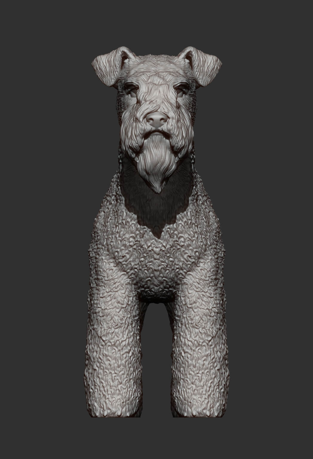 Kerry Blue Terrier 3D Print Model by Alexander3dart