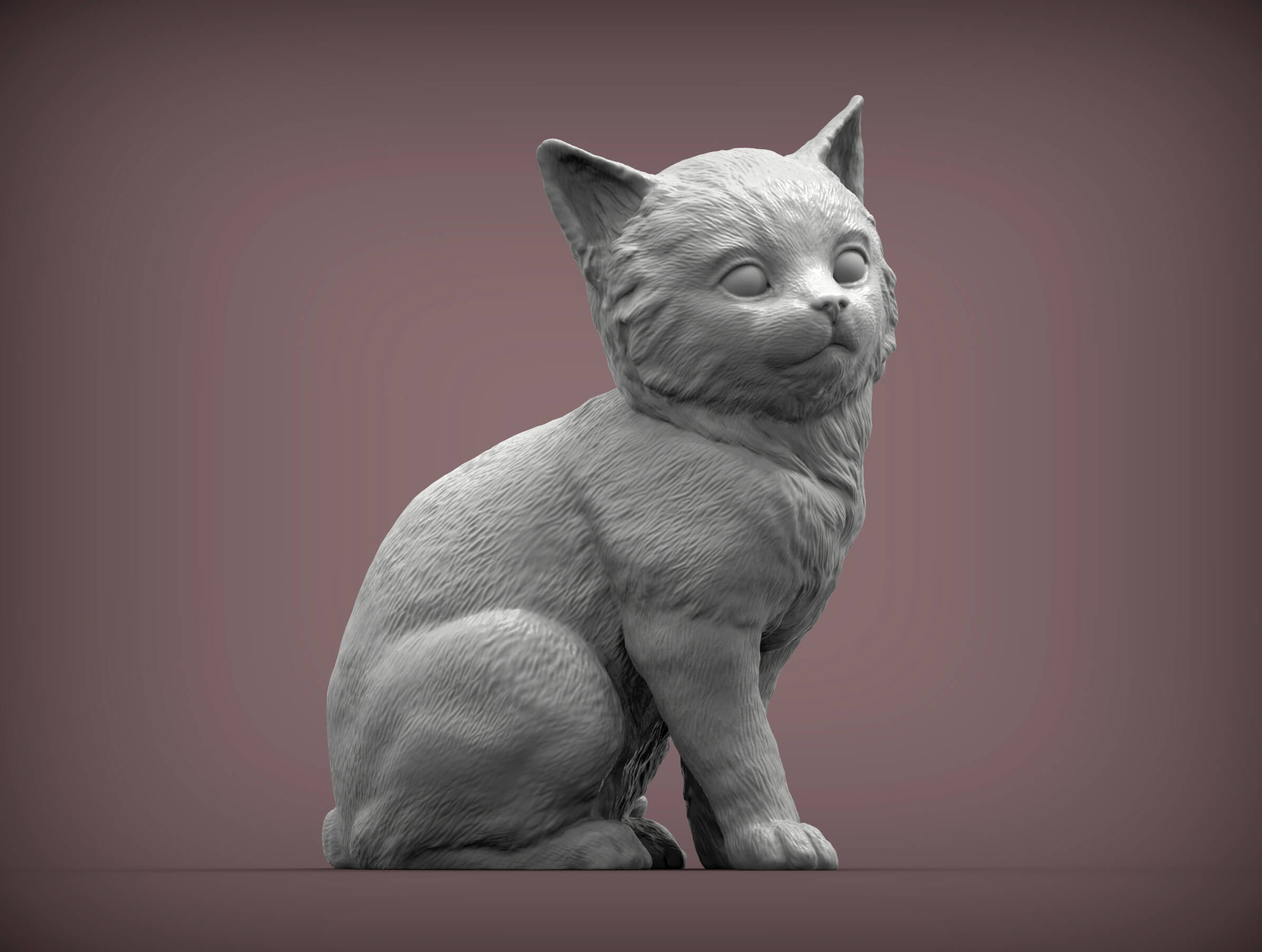 Kitten Sitting - 3D Model by Alexander3dart