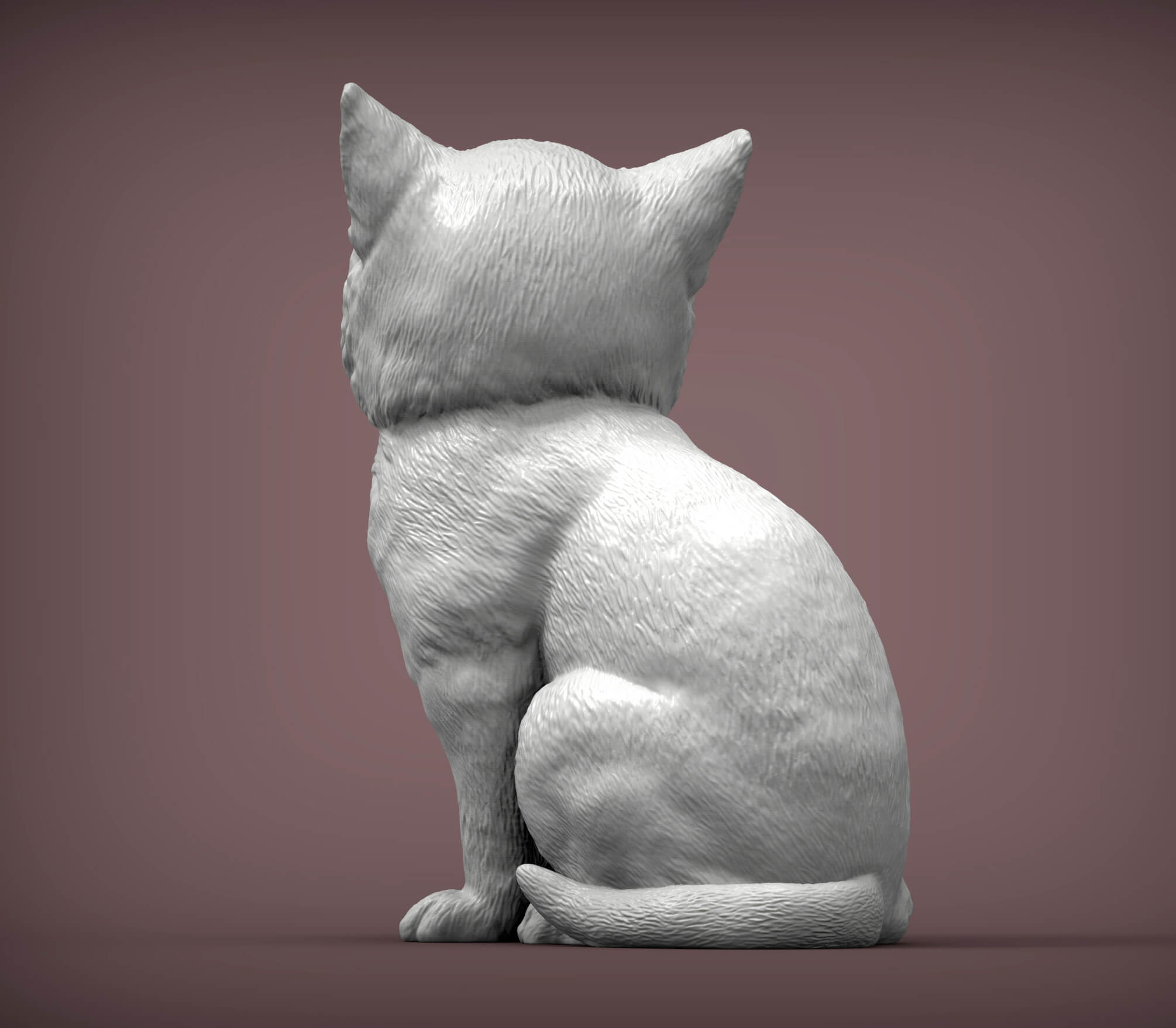 Kitten Sitting - 3D Model by Alexander3dart