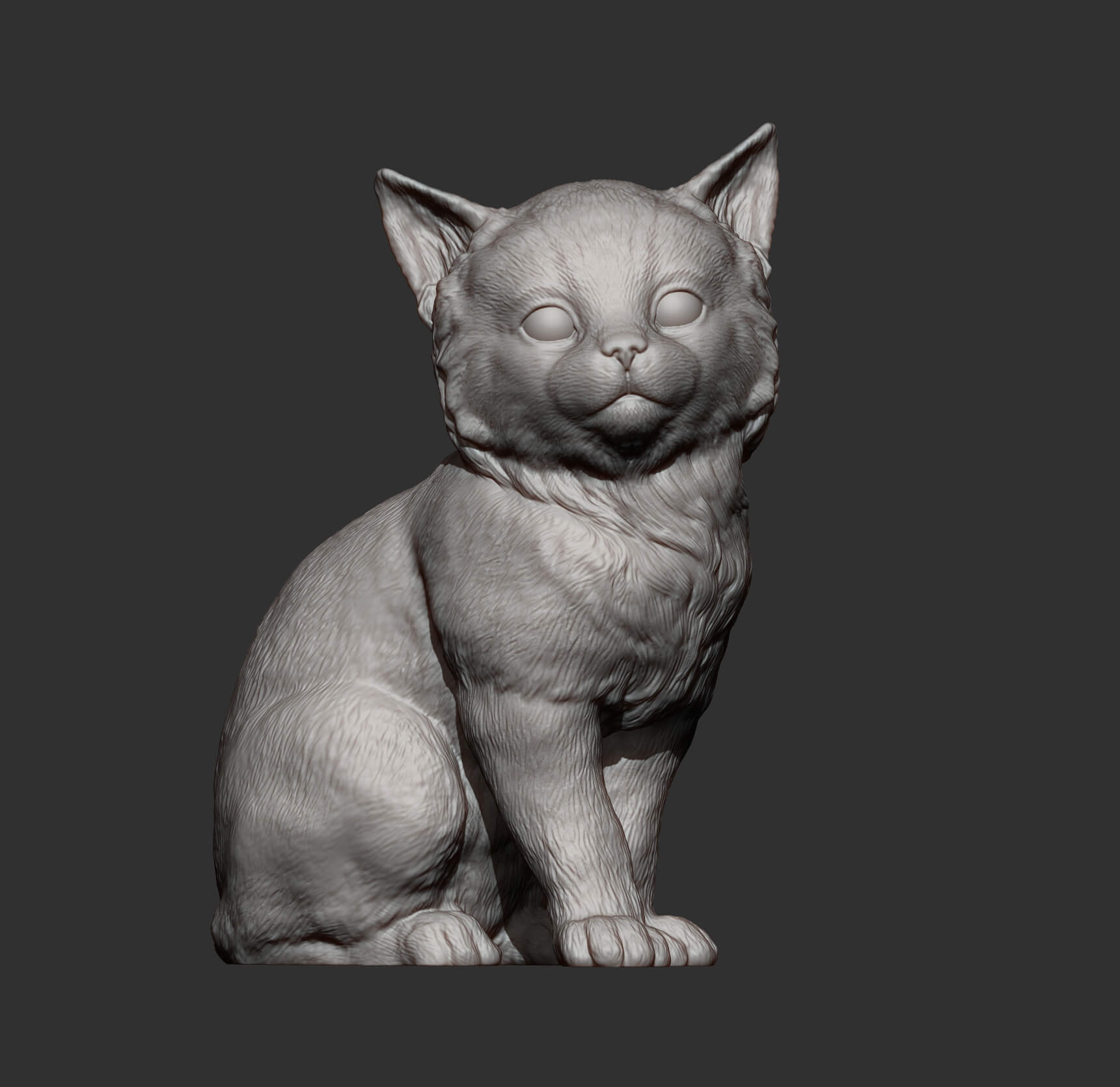 Kitten Sitting - 3D Model by Alexander3dart