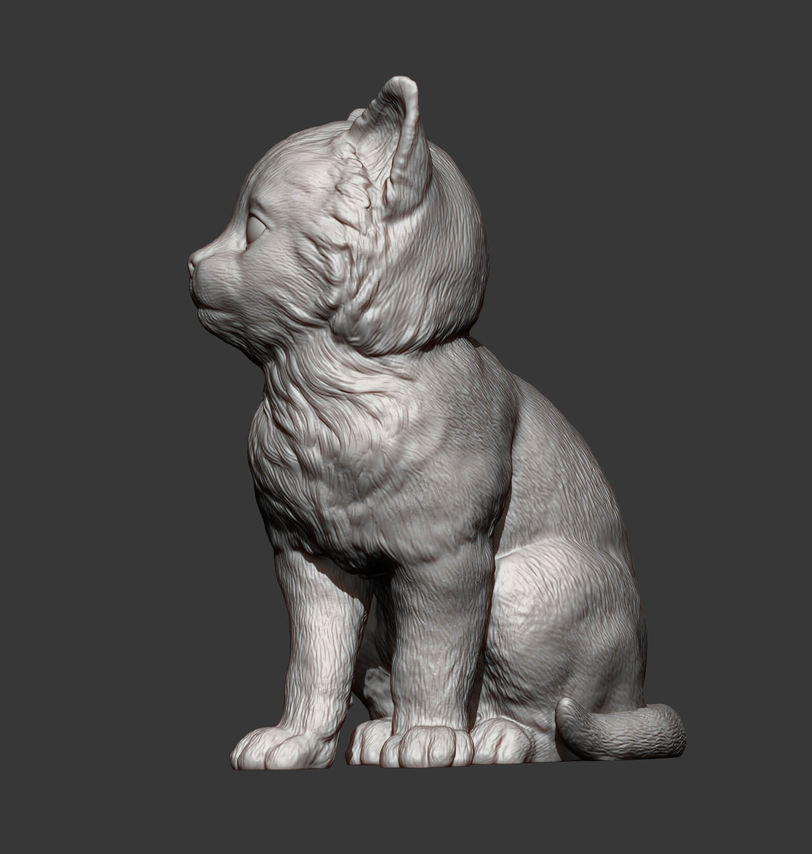 Kitten Sitting - 3D Model by Alexander3dart