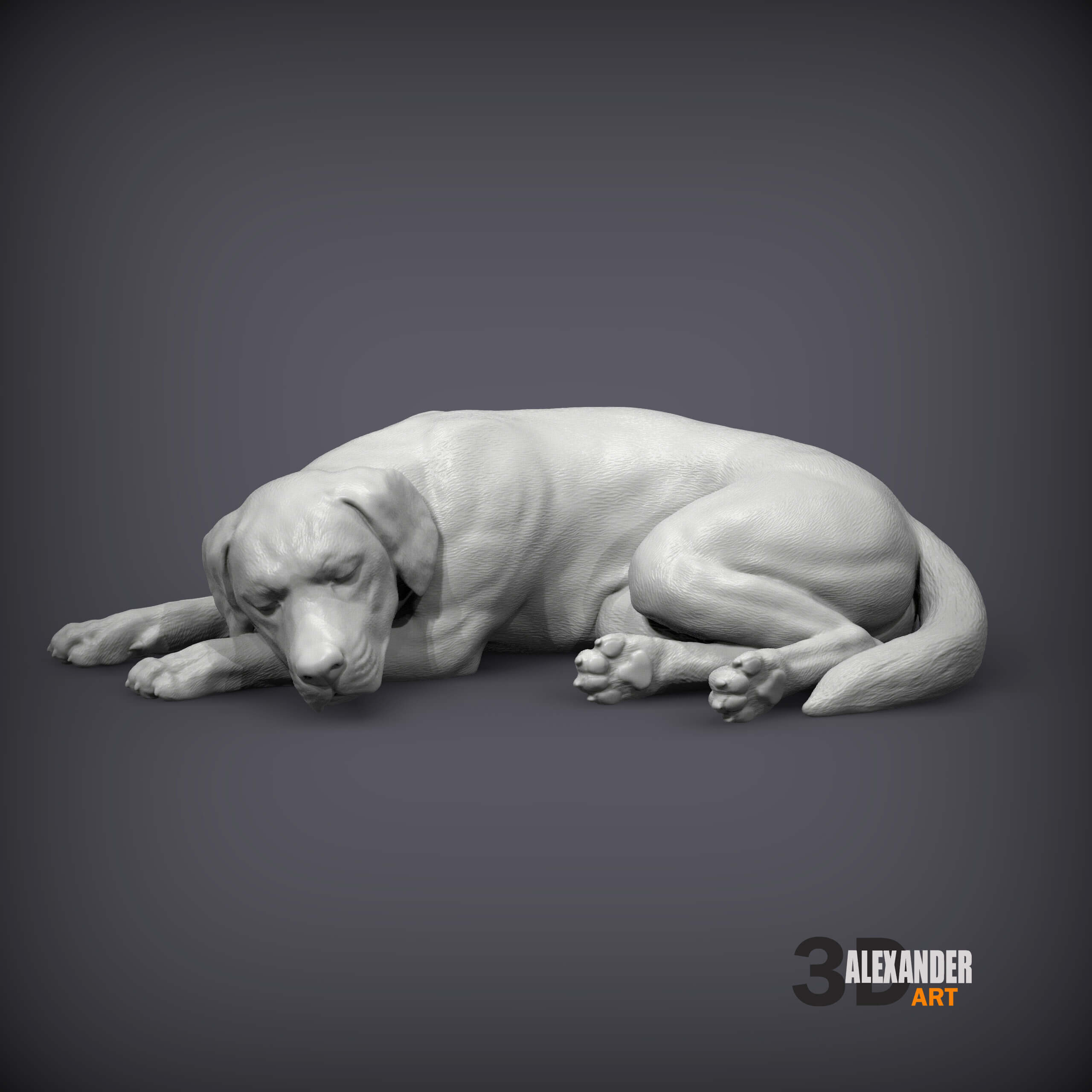 Labrador Is Sleeping - 3D Model by Alexander3dart