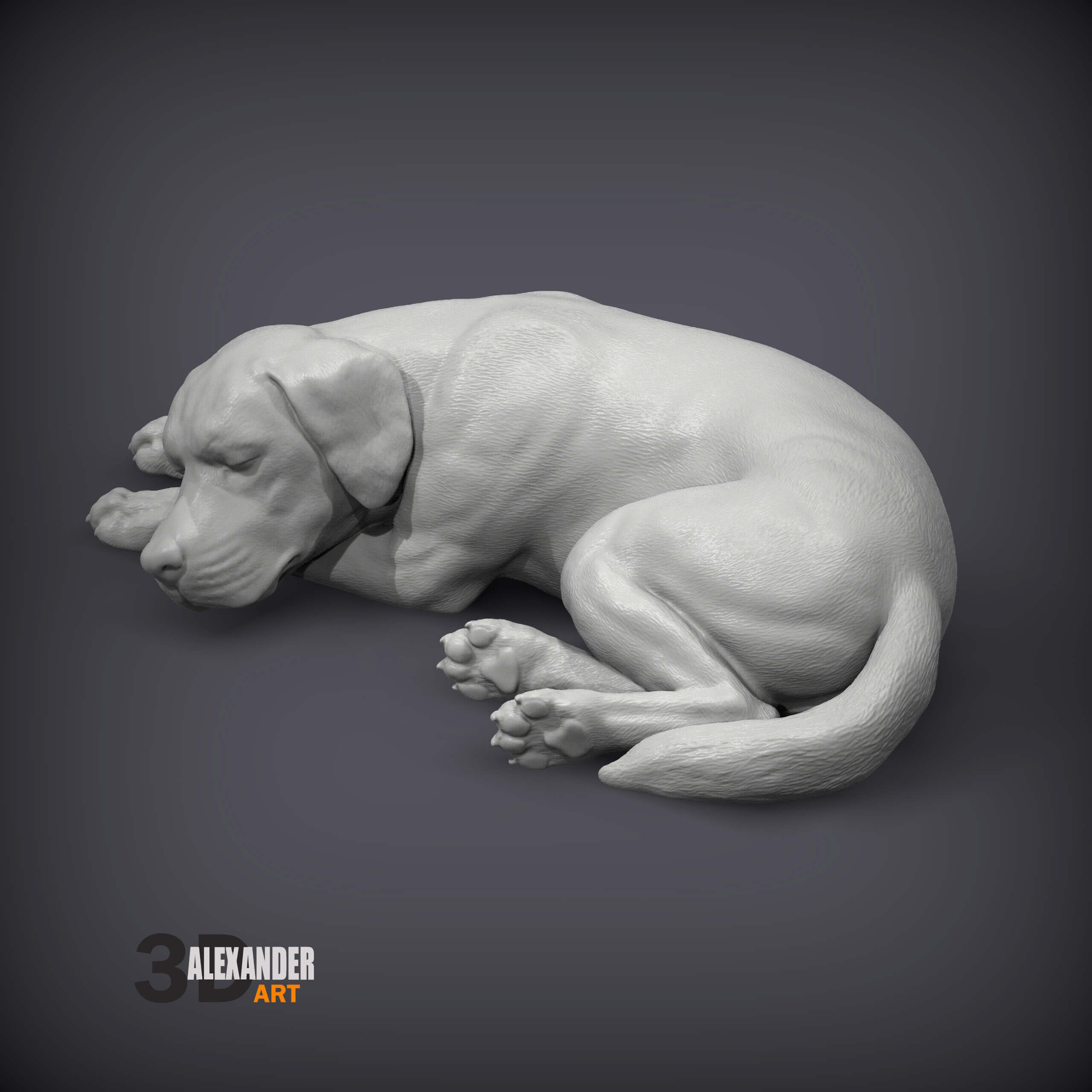 Labrador Is Sleeping - 3D Model by Alexander3dart