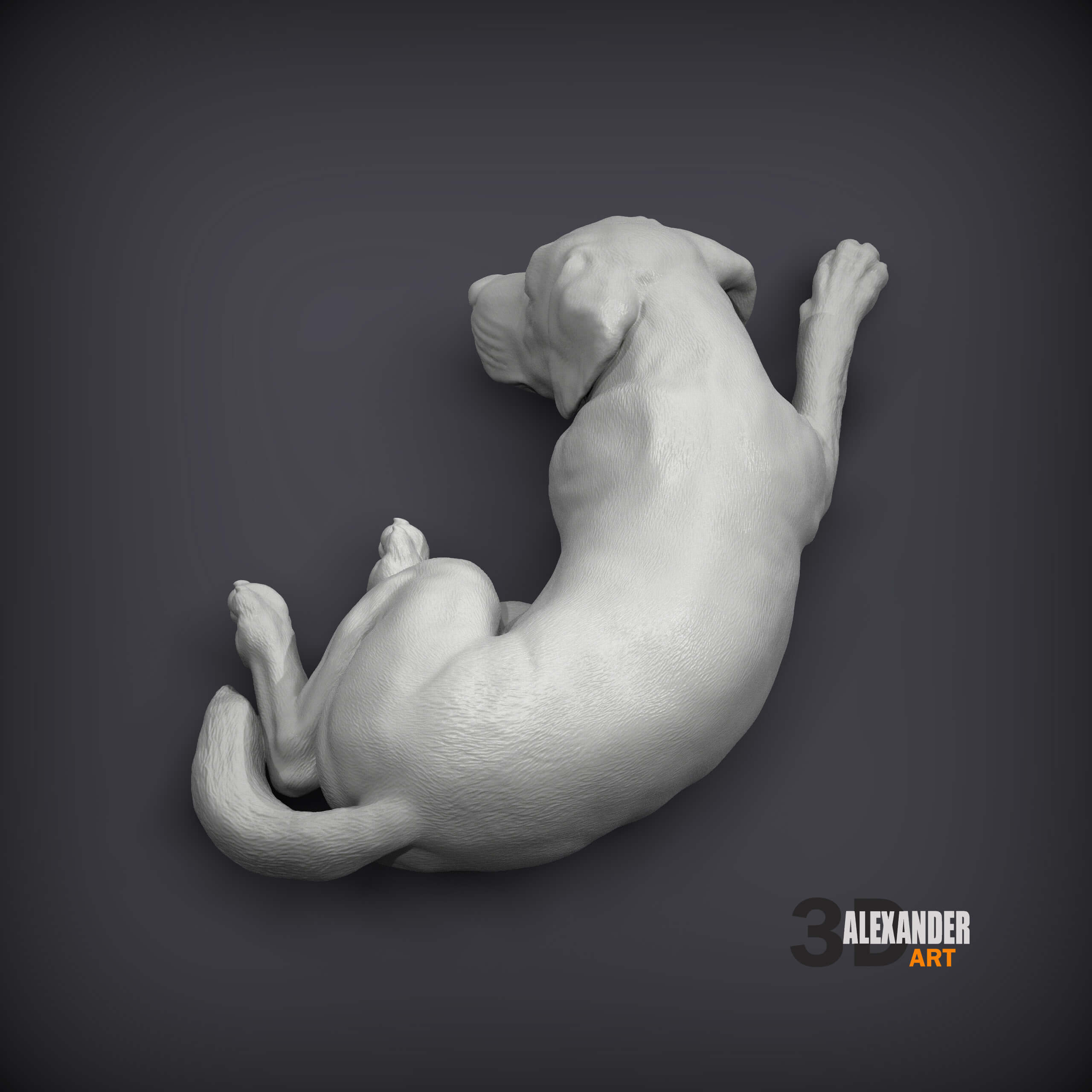 Labrador Is Sleeping - 3D Model by Alexander3dart