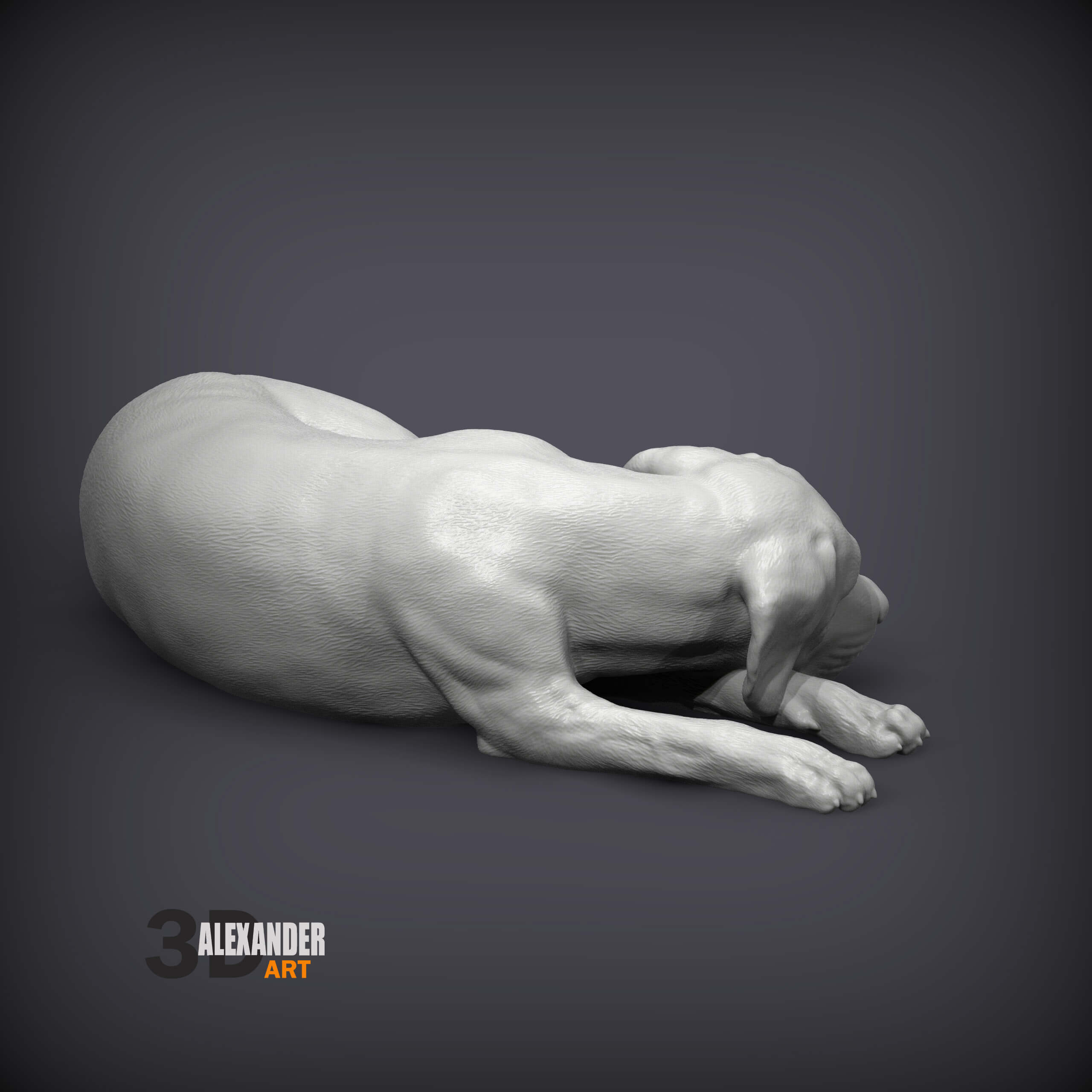 Labrador Is Sleeping - 3D Model by Alexander3dart