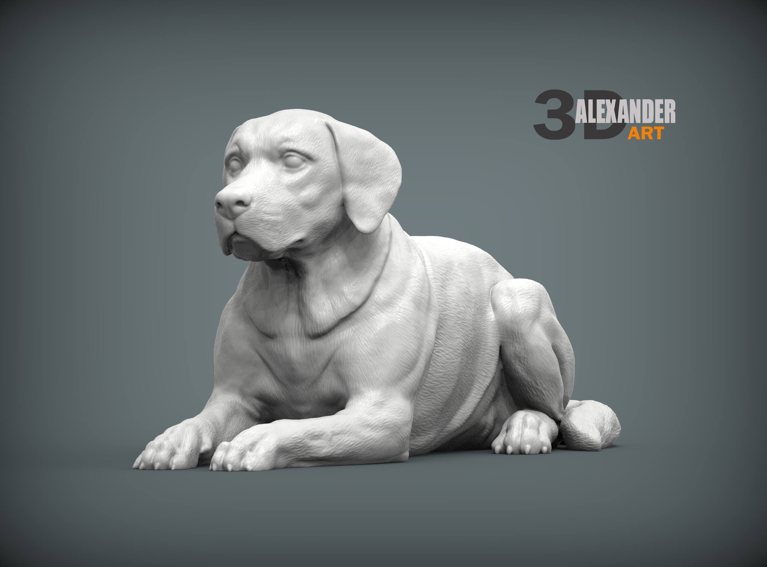 Labrador Lies 3D Print Model by Alexander3dart