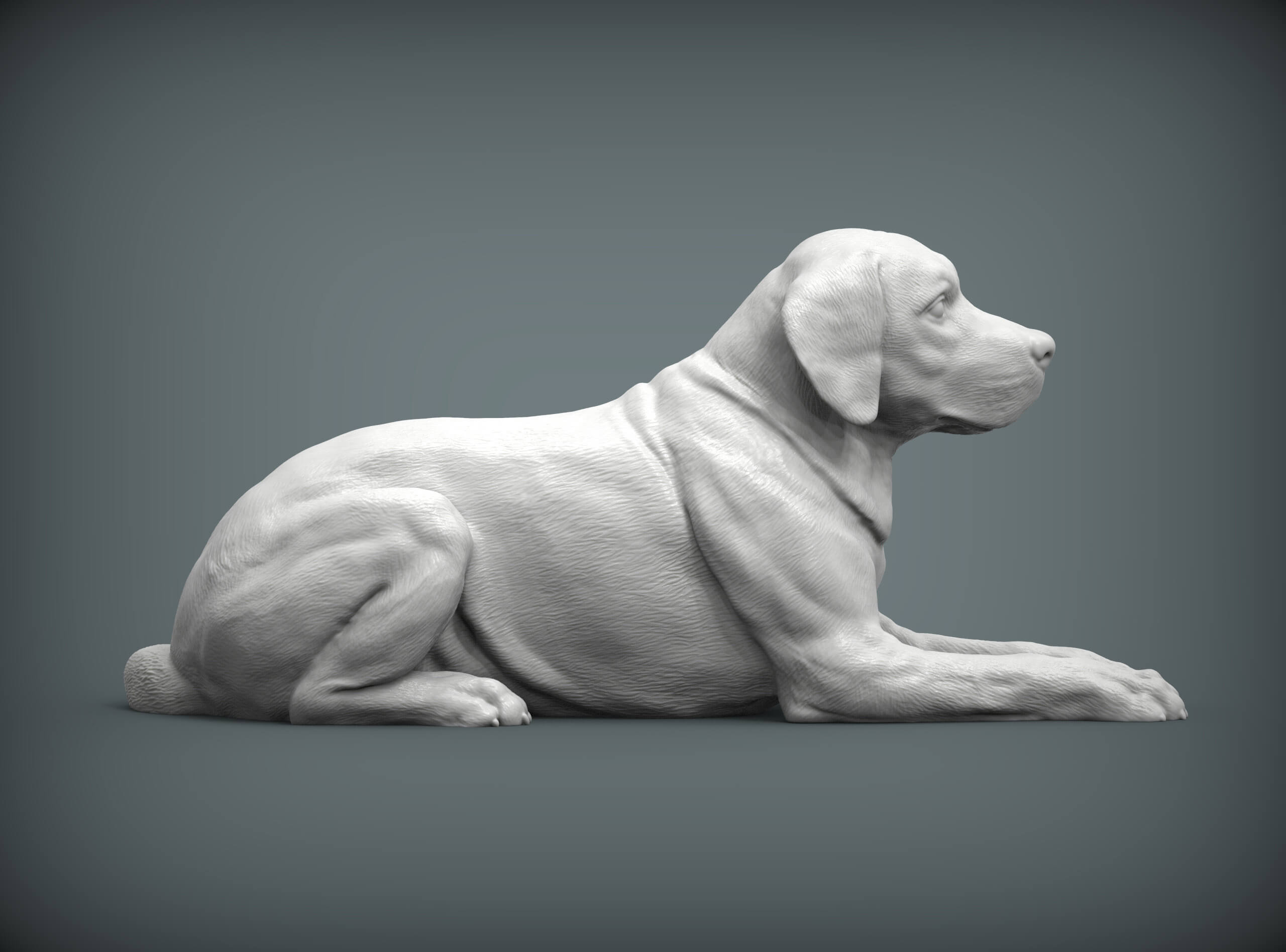 Labrador Lies 3D Print Model by Alexander3dart