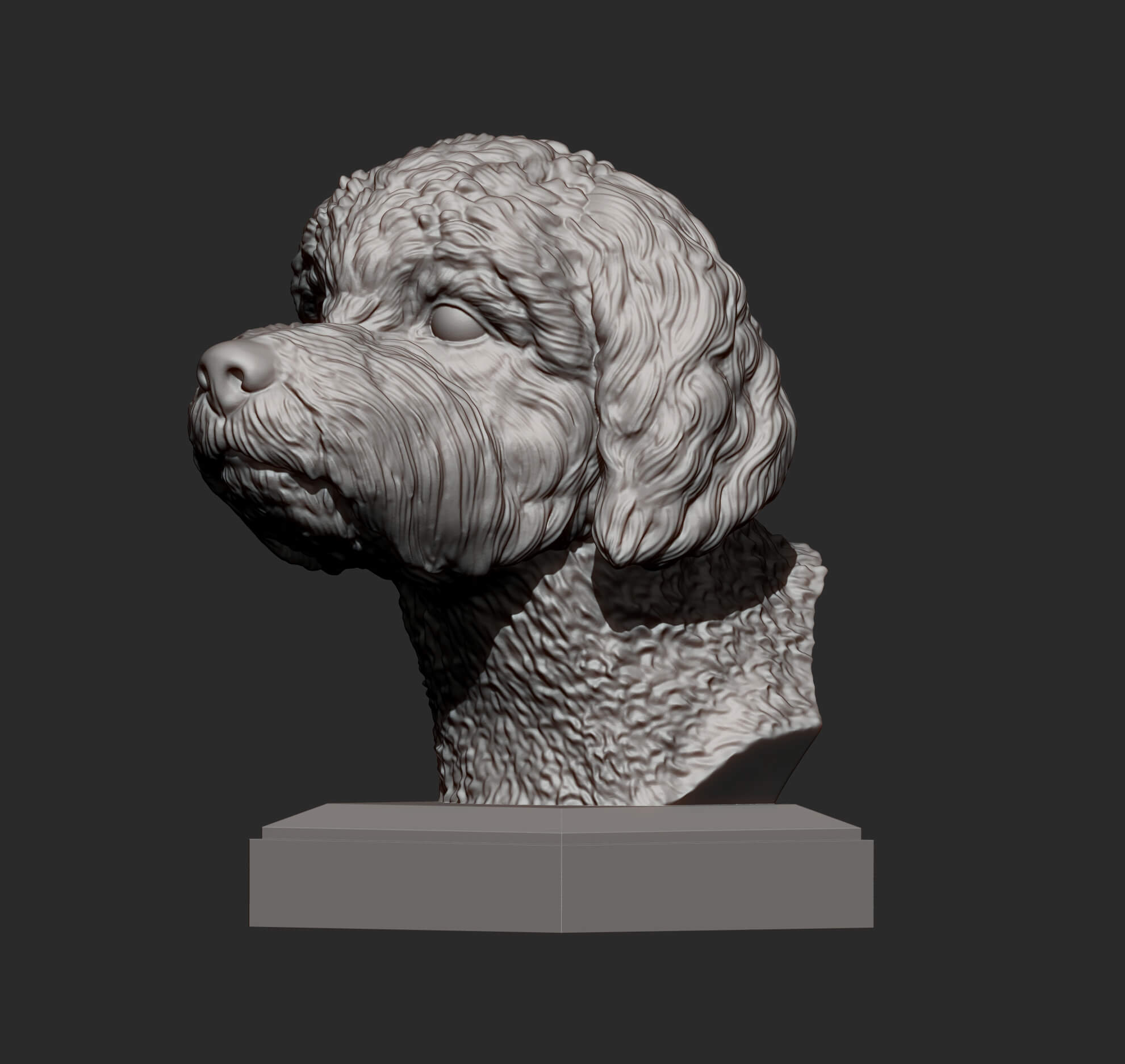 Lagotto Romagnolo Bust - 3D Model by Alexander3dart