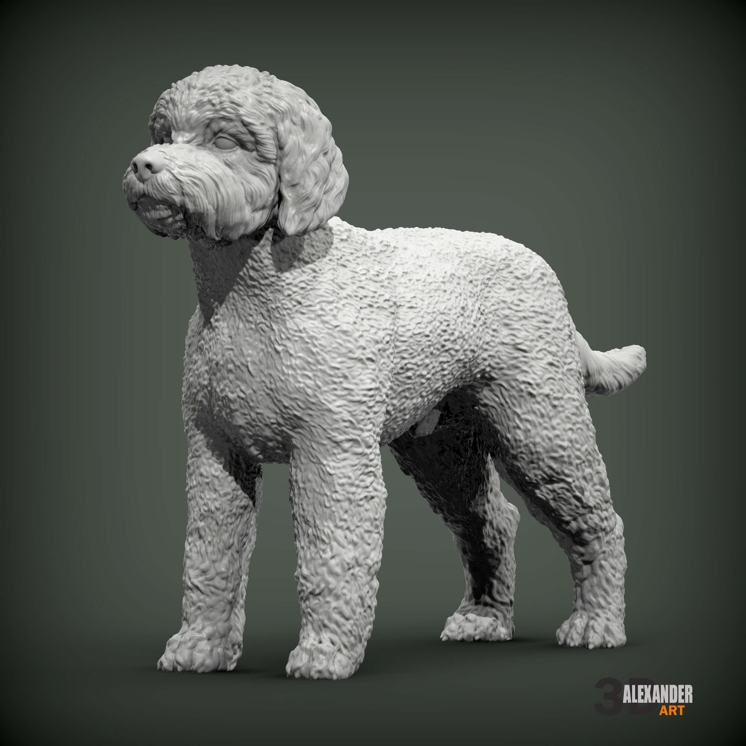 Lagotto Romagnolo - 3D Model by Alexander3dart