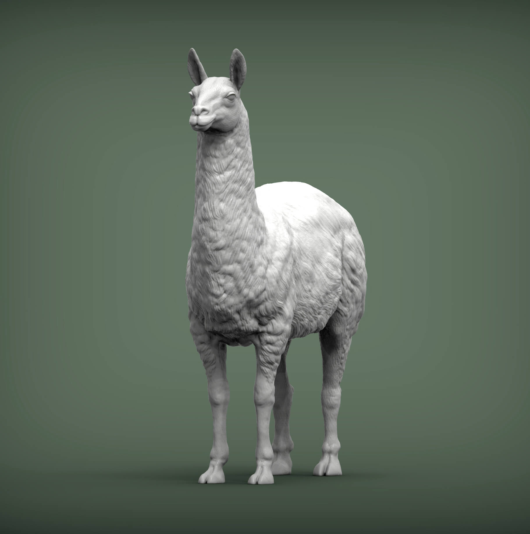 Lama 3D Print Model by Alexander3dart