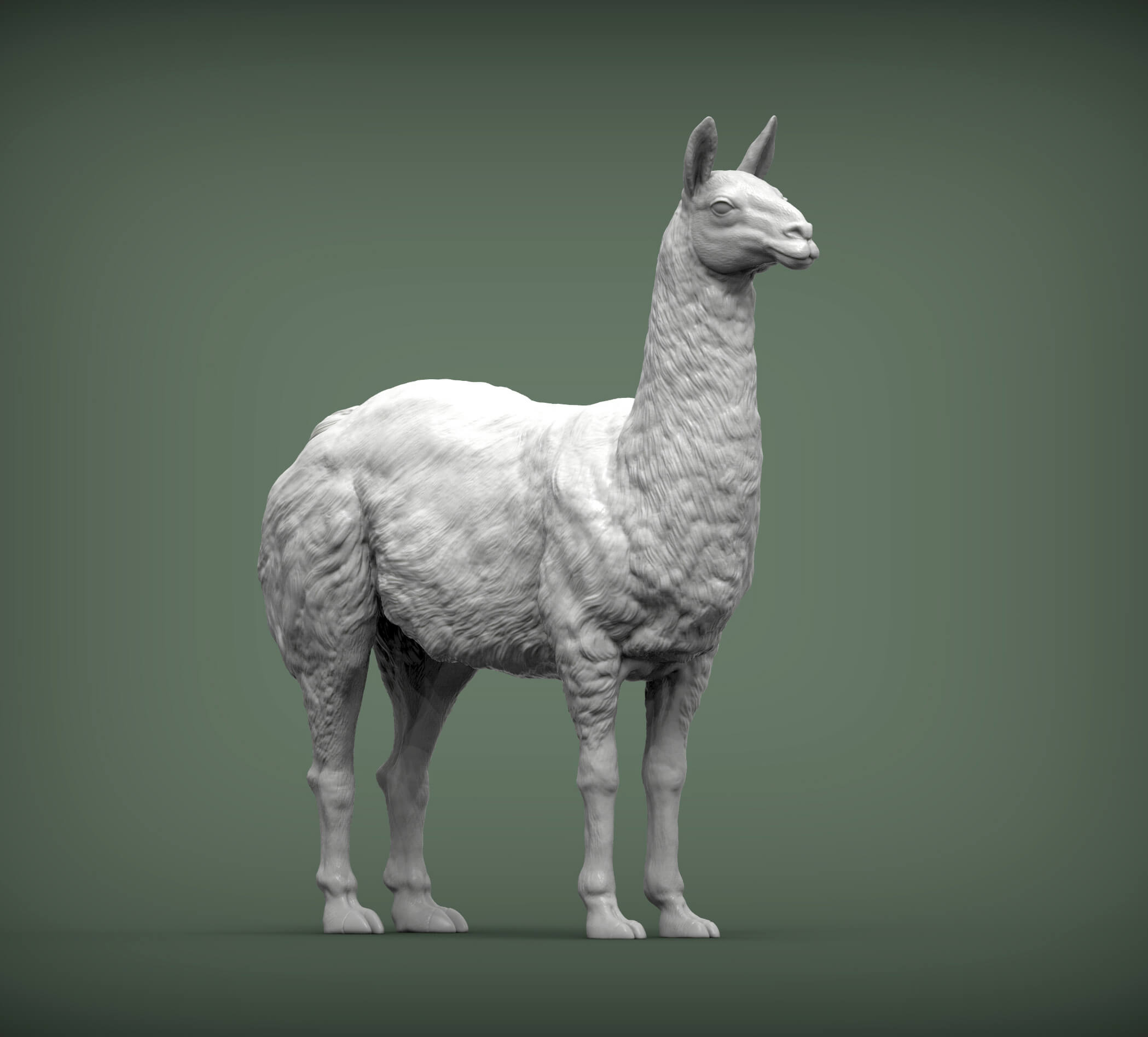 Lama 3D Print Model by Alexander3dart