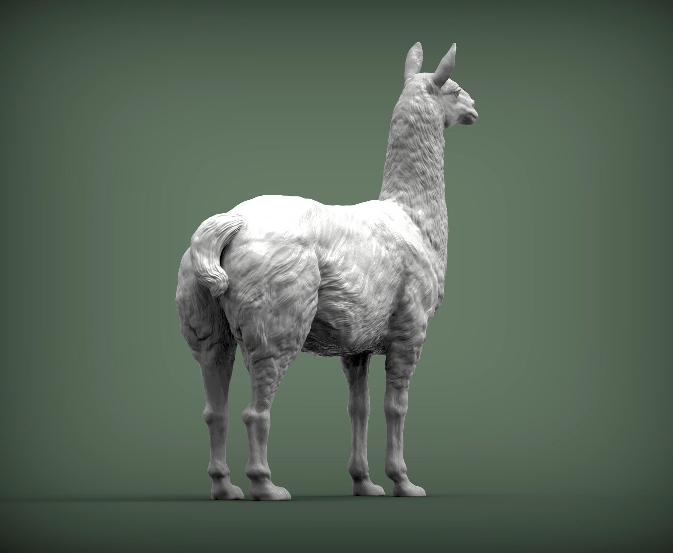 Lama 3D Print Model by Alexander3dart