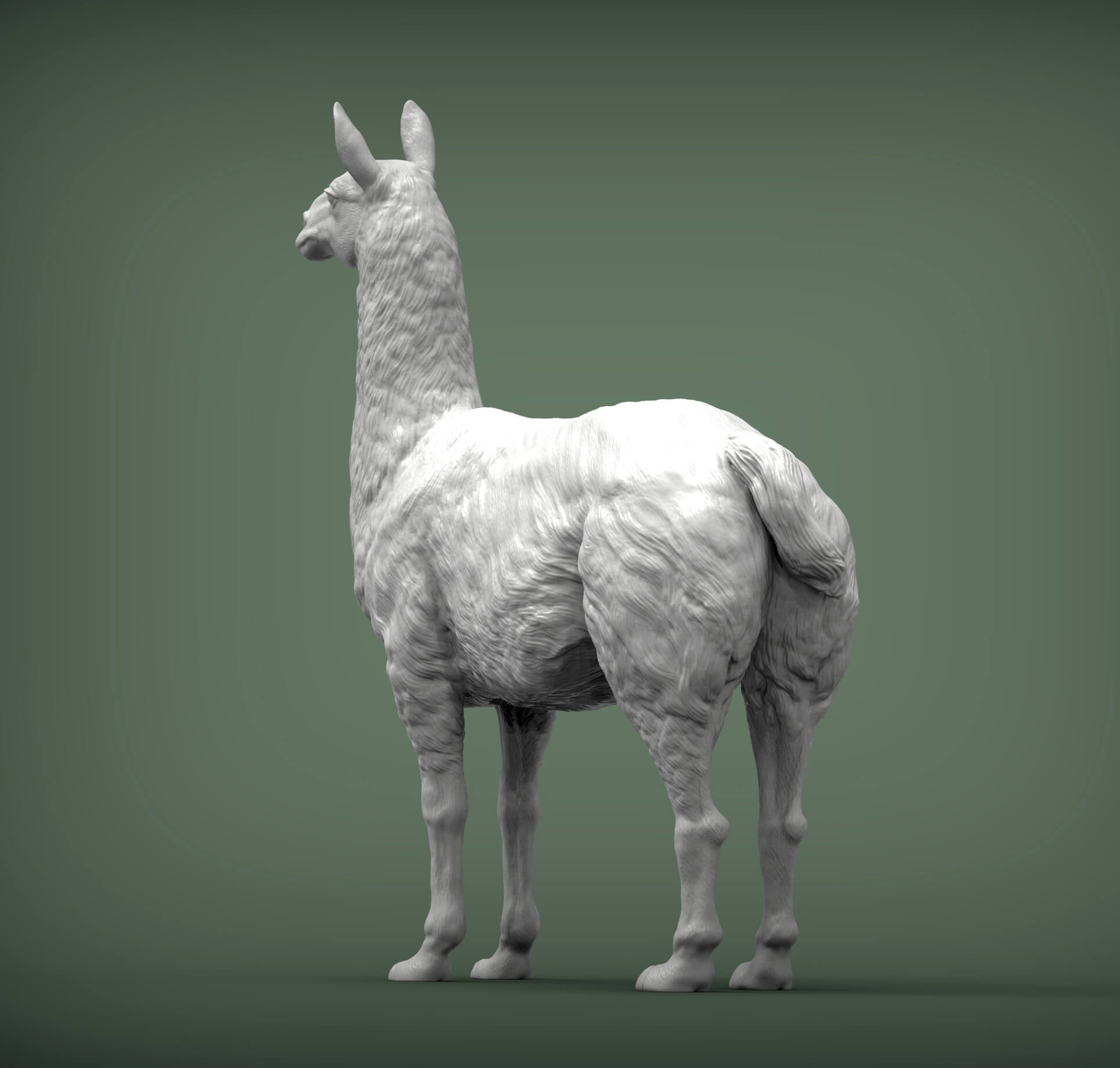 Lama 3D Print Model by Alexander3dart