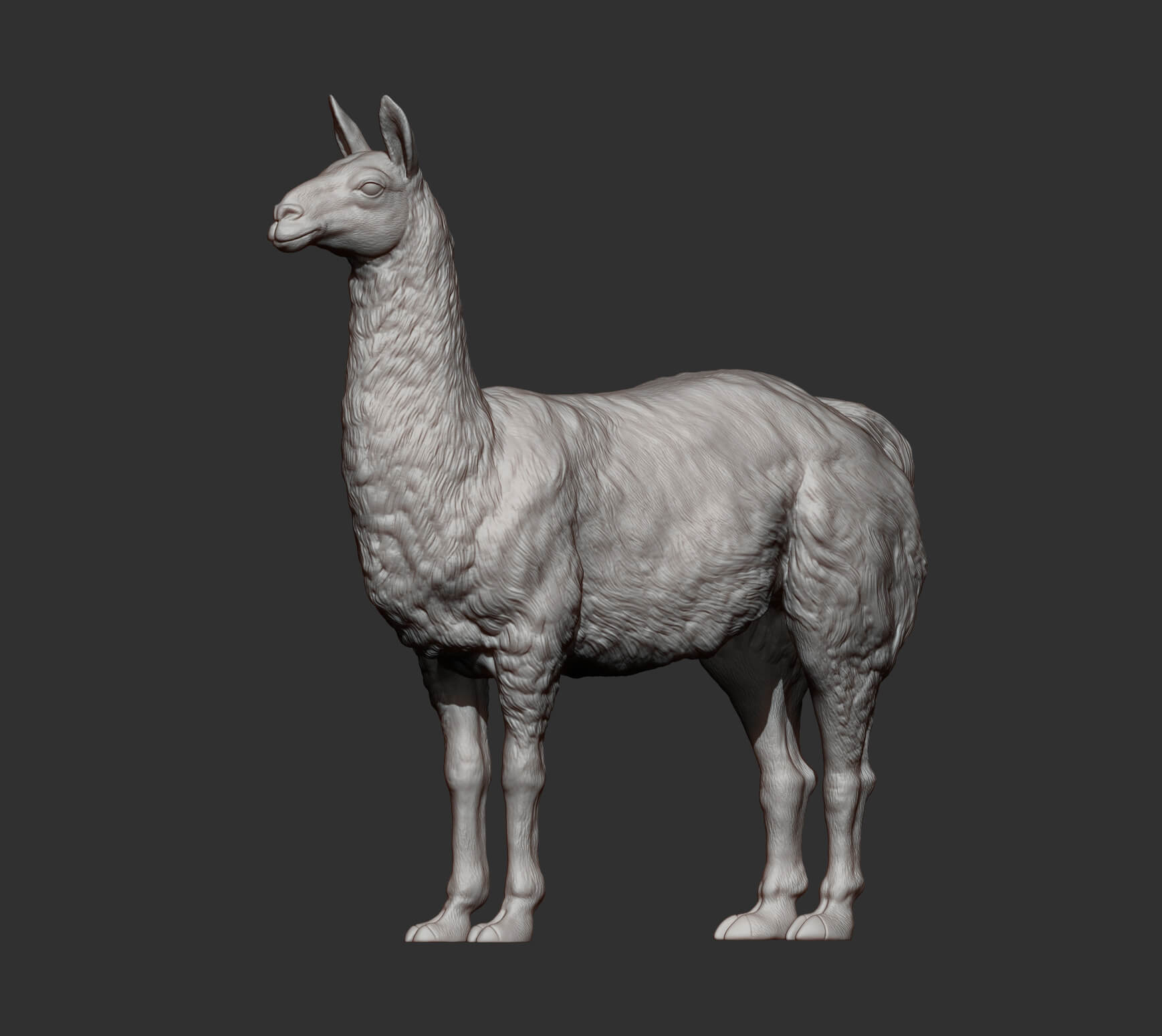 Lama 3D Print Model by Alexander3dart