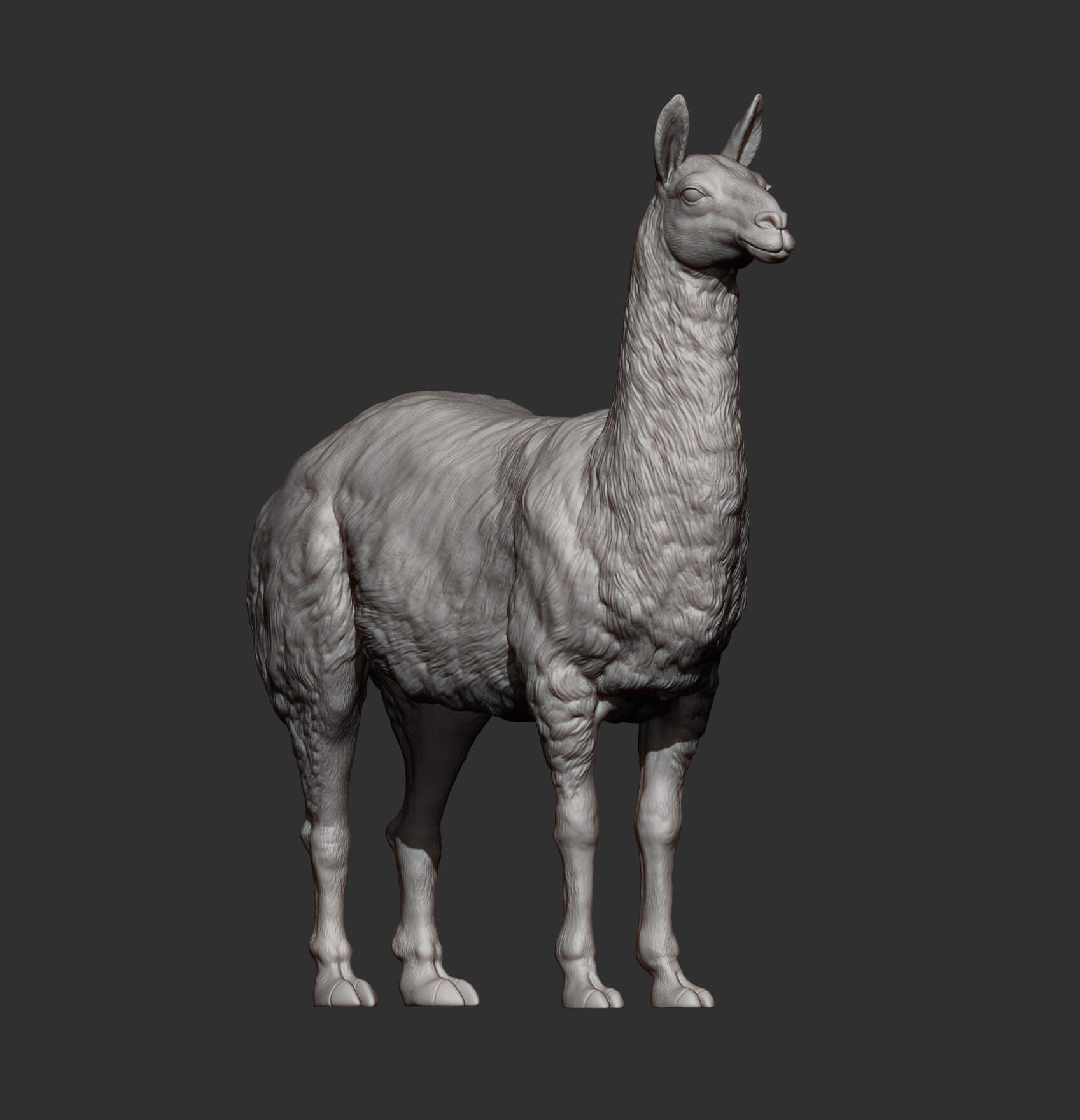 Lama 3D Print Model by Alexander3dart