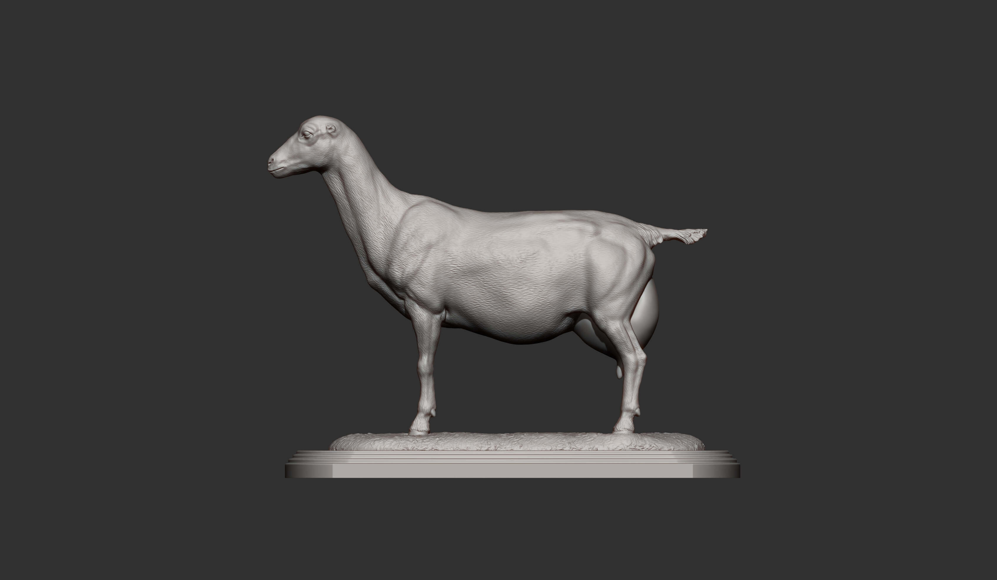 Lamancha Female 3D Print Model by Alexander3dart