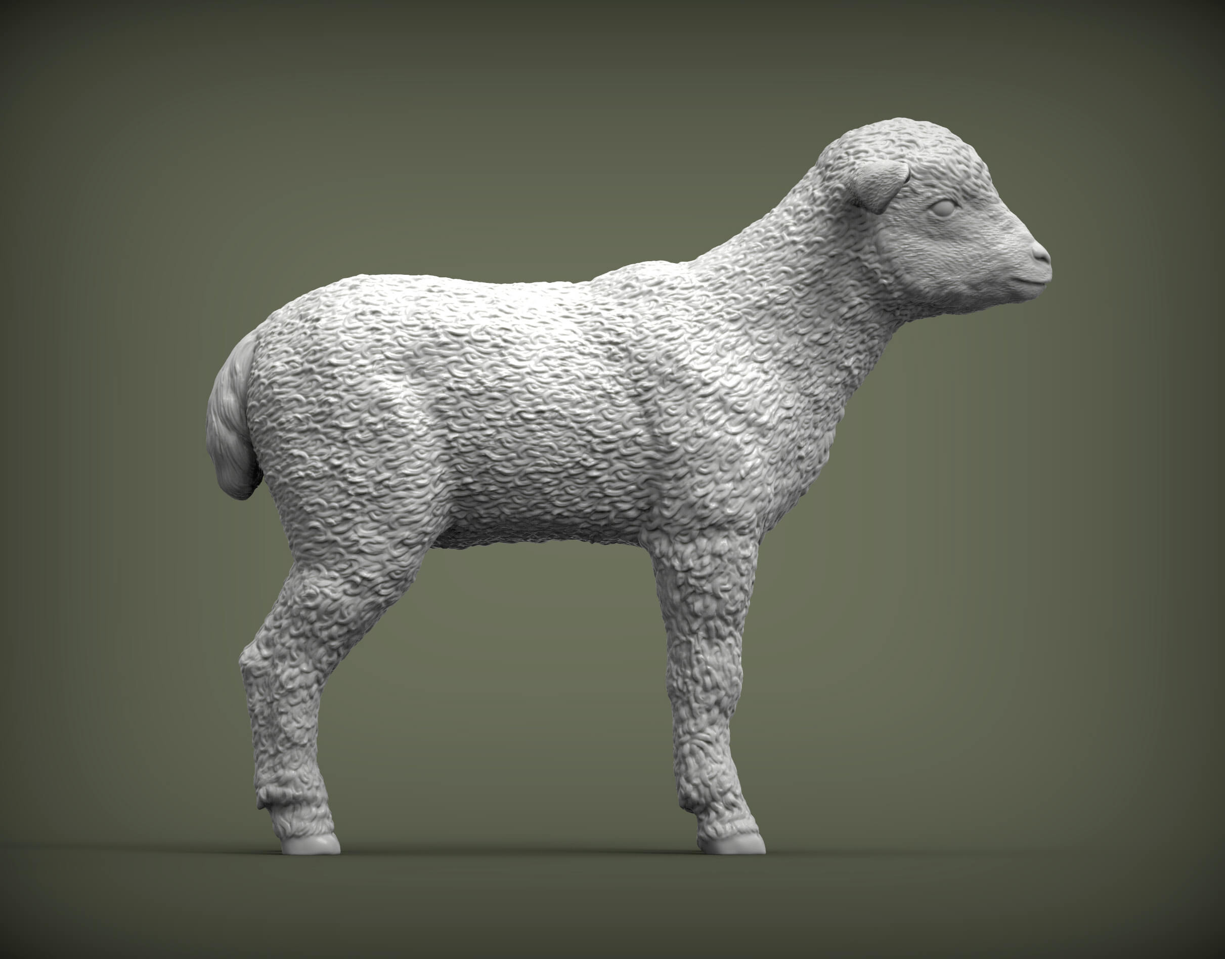 Lamb 3D Print Model by Alexander3dart