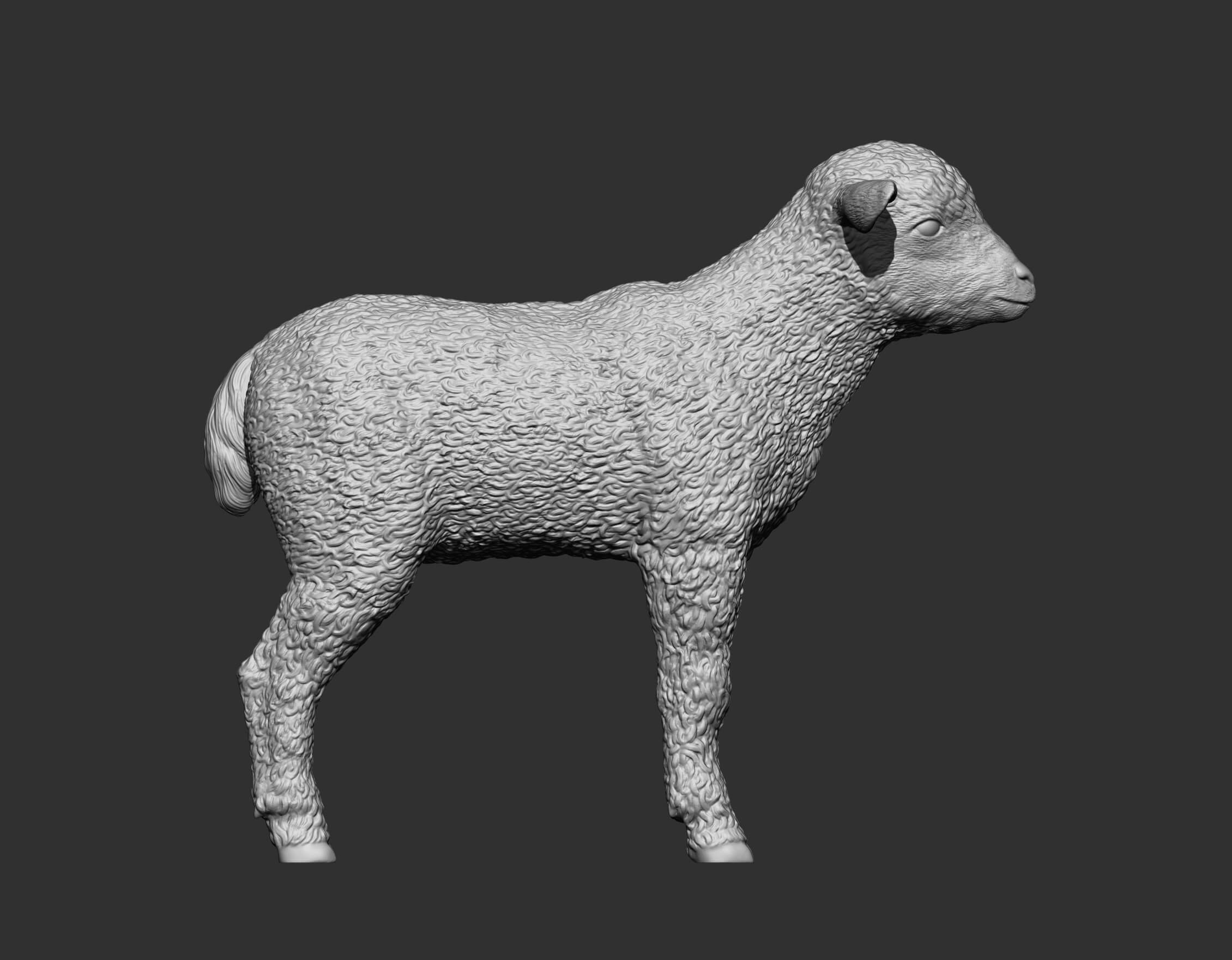 Lamb 3D Print Model by Alexander3dart