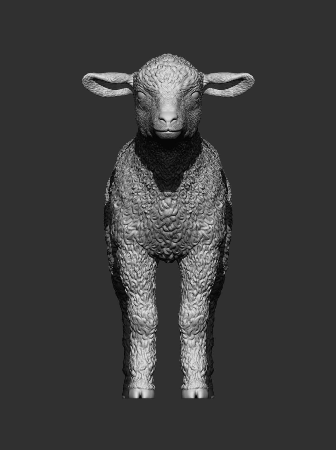 Lamb 3D Print Model by Alexander3dart