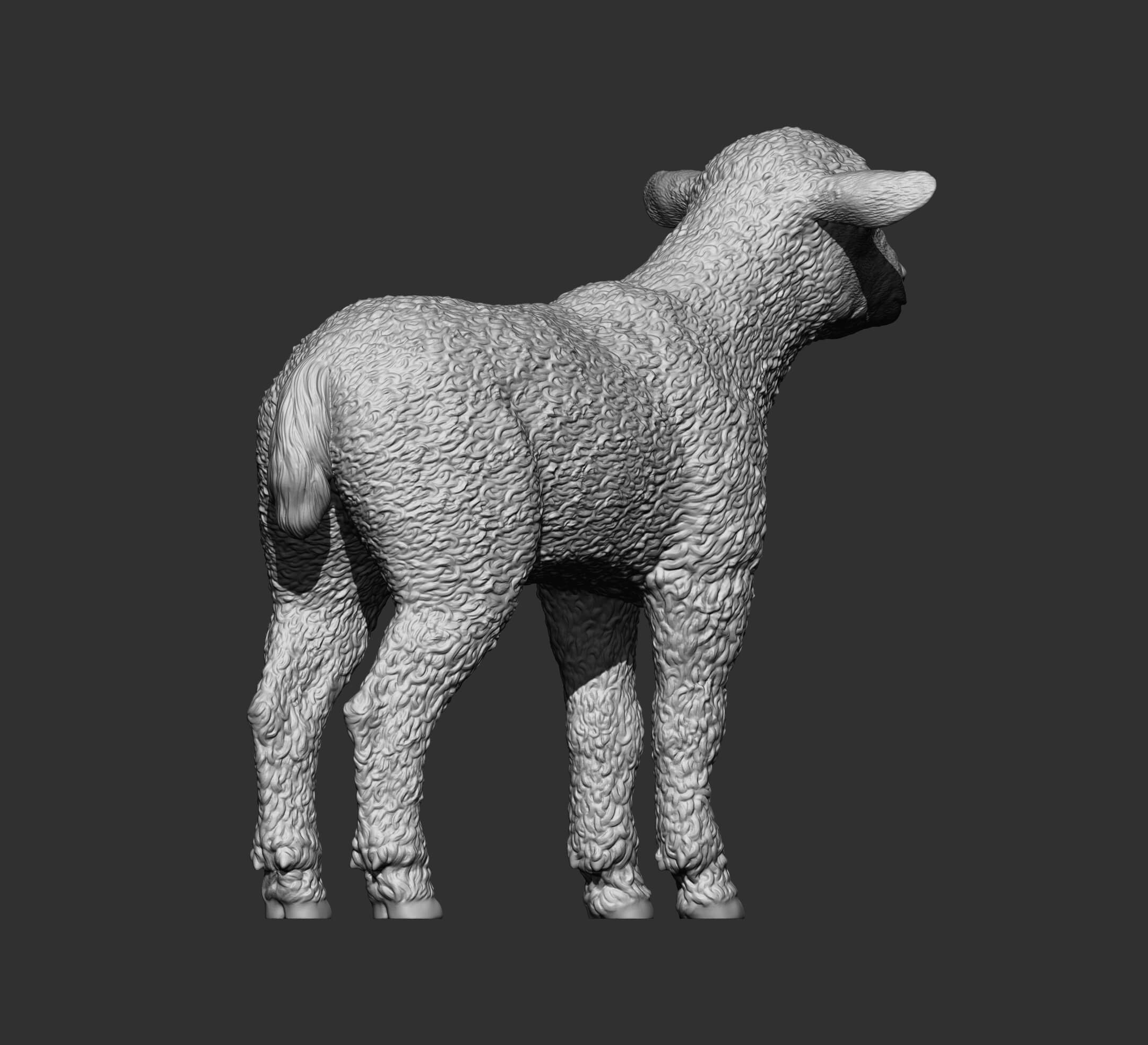 Lamb 3D Print Model by Alexander3dart