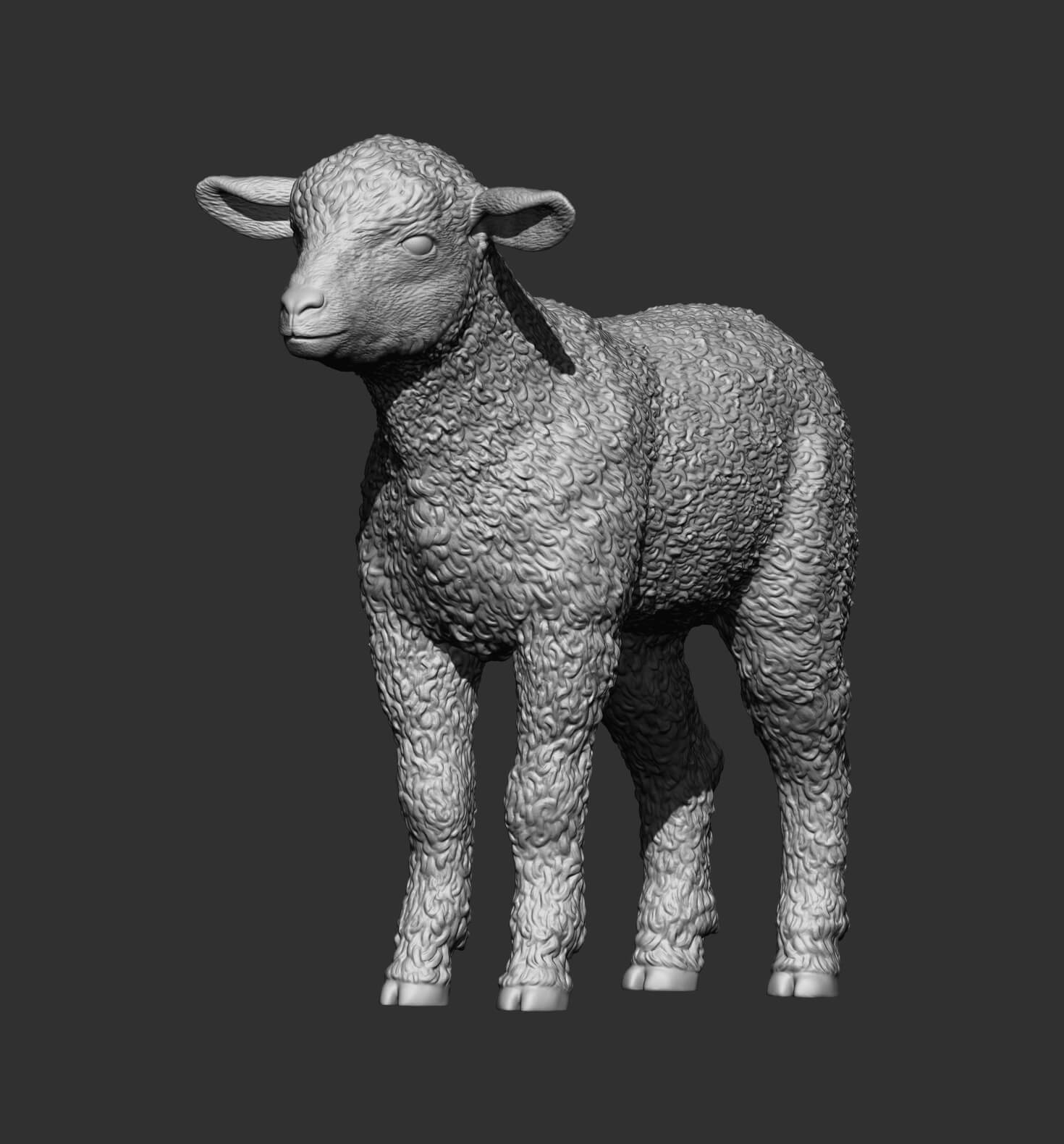Lamb 3D Print Model by Alexander3dart