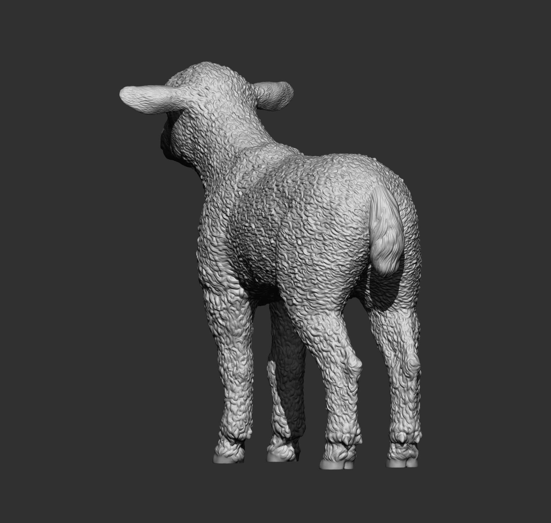 Lamb 3D Print Model by Alexander3dart