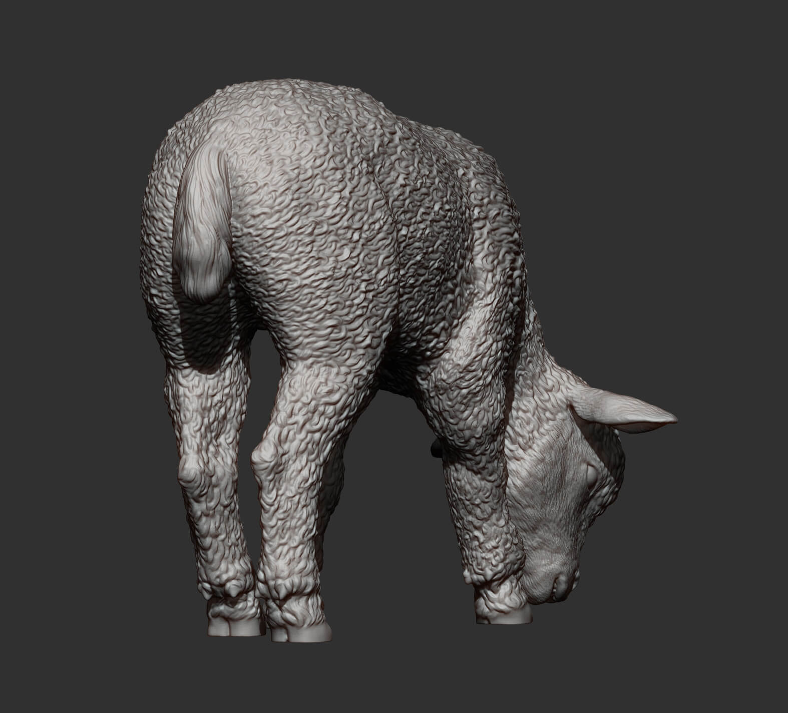 Lamb Eats 3D Print Model by Alexander3dart