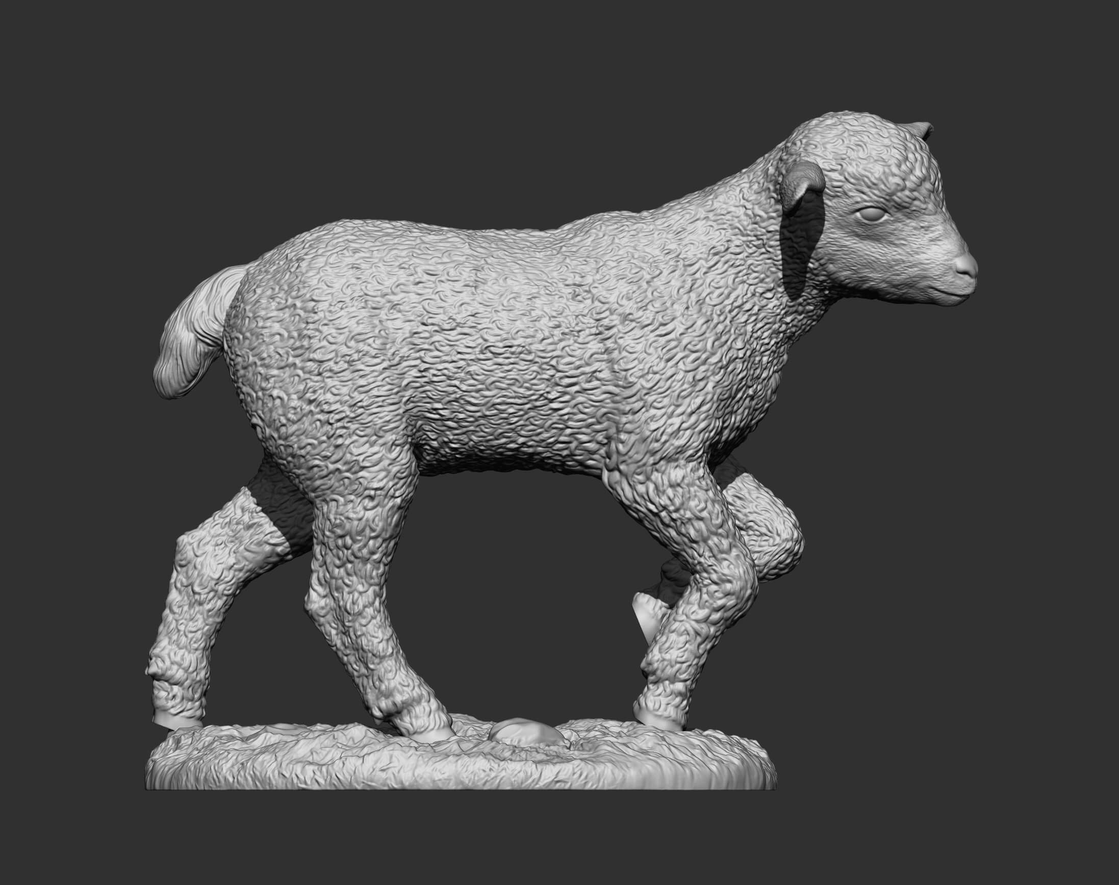 Lamb Runs 3D Print Model by Alexander3dart