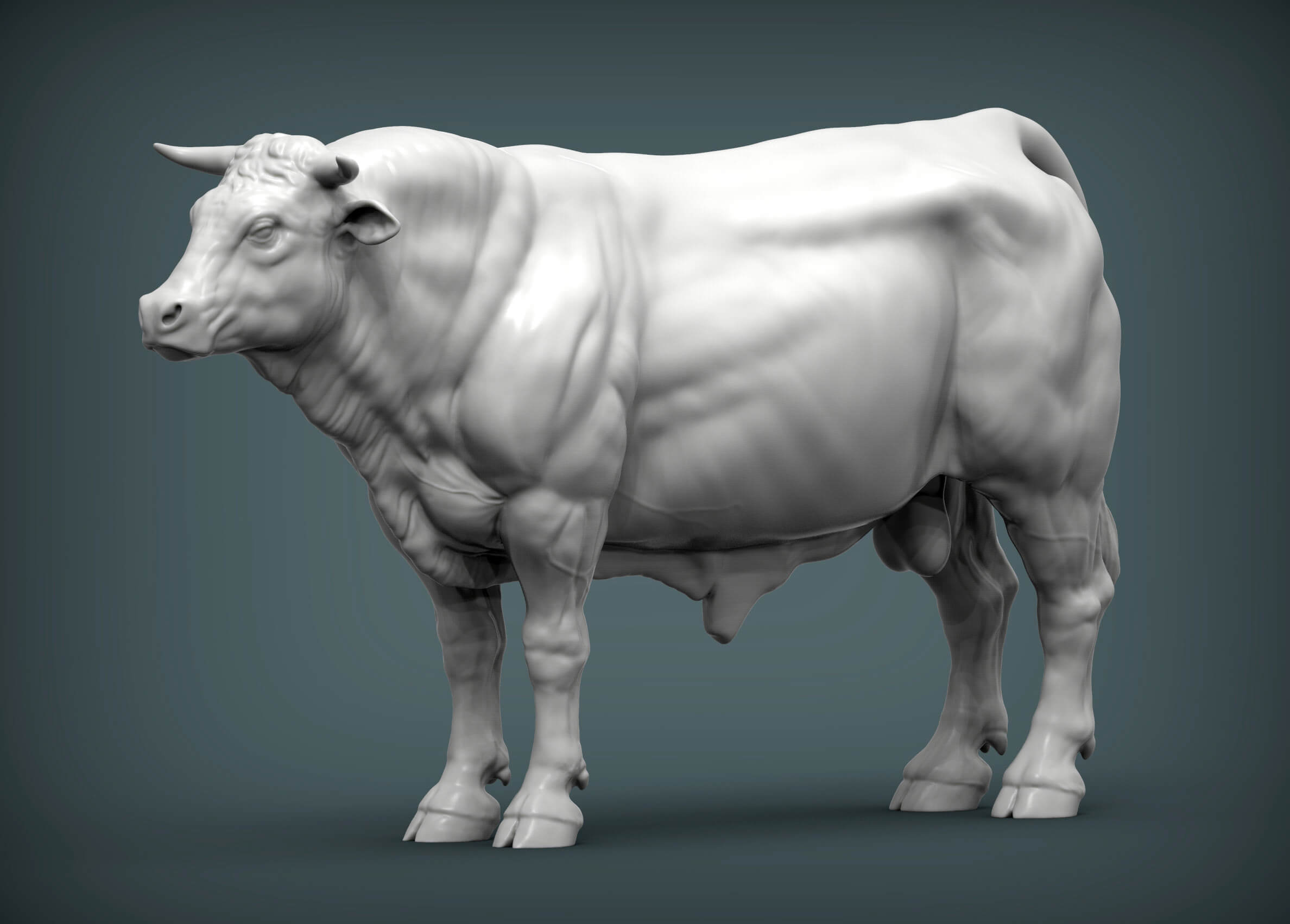 Limousin Bull 3D Print Model by Alexander3dart