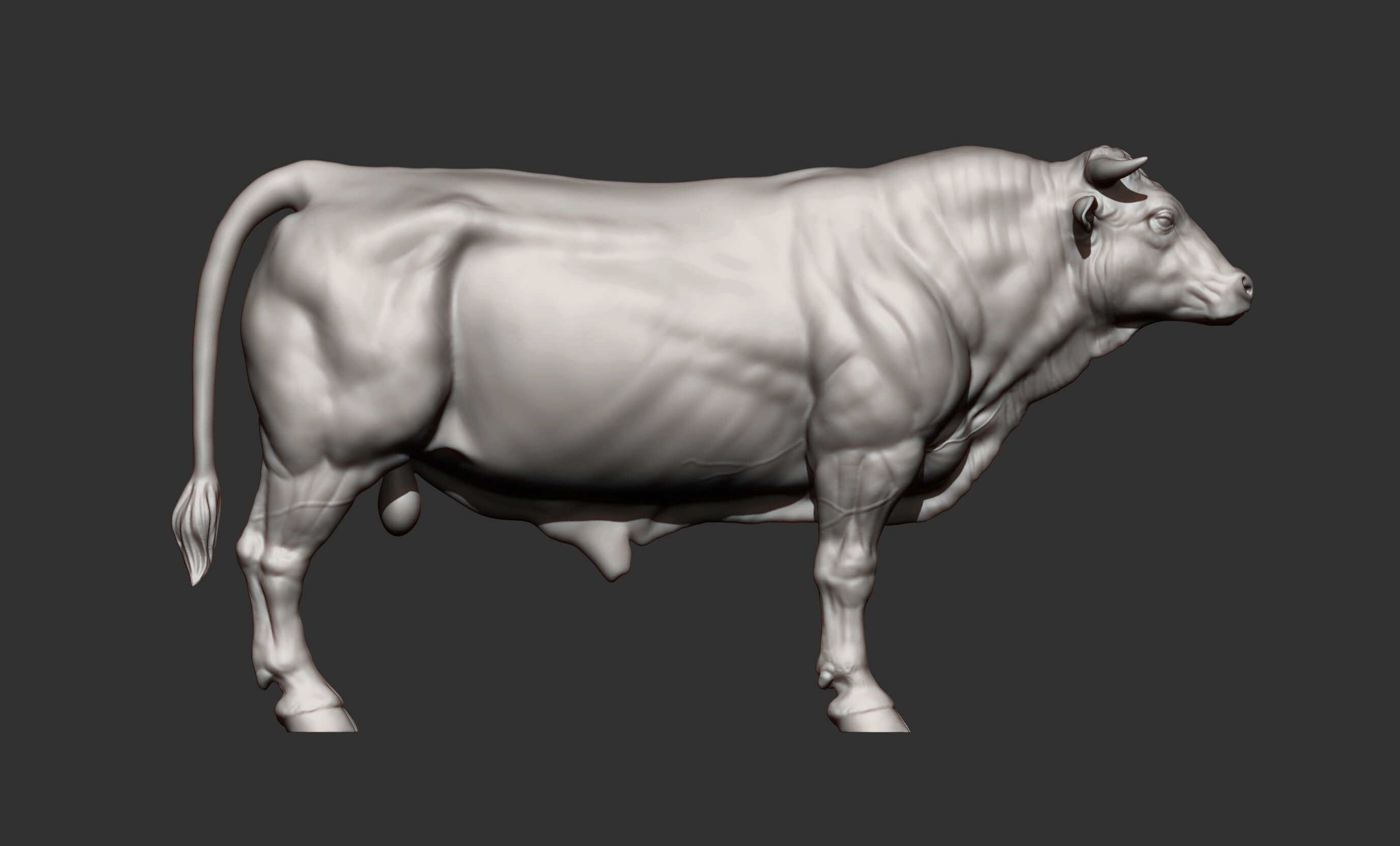 Limousin Bull 3D Print Model by Alexander3dart