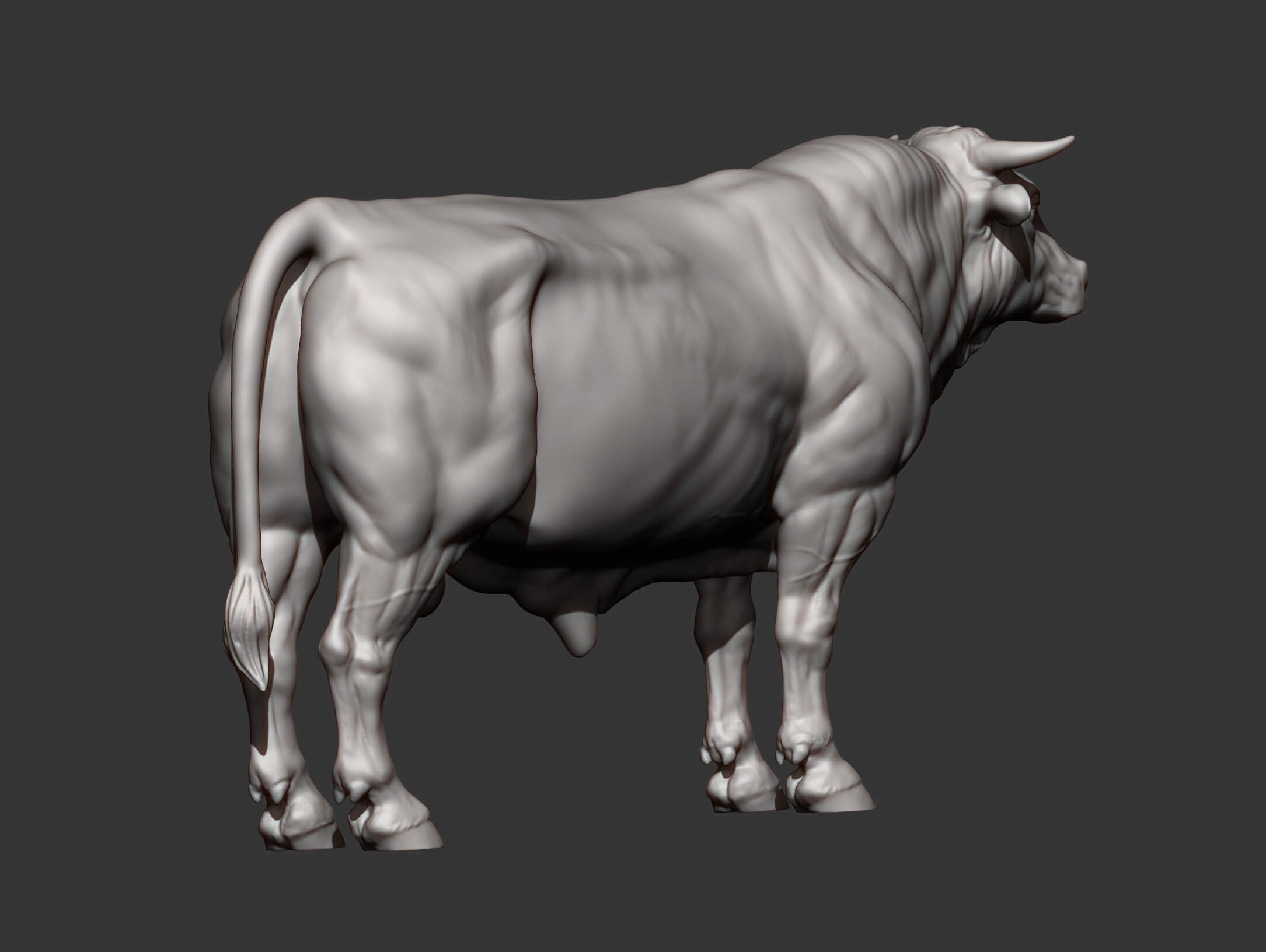 Limousin Bull 3D Print Model by Alexander3dart
