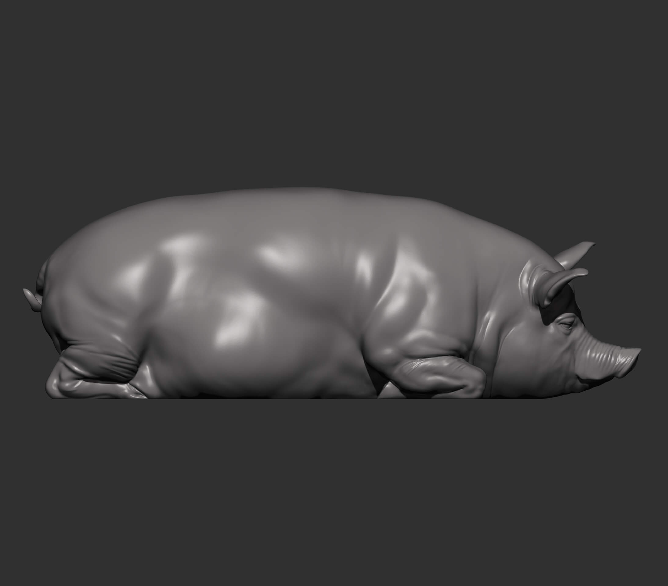 Lying Pig 3D model by Alexander3dart