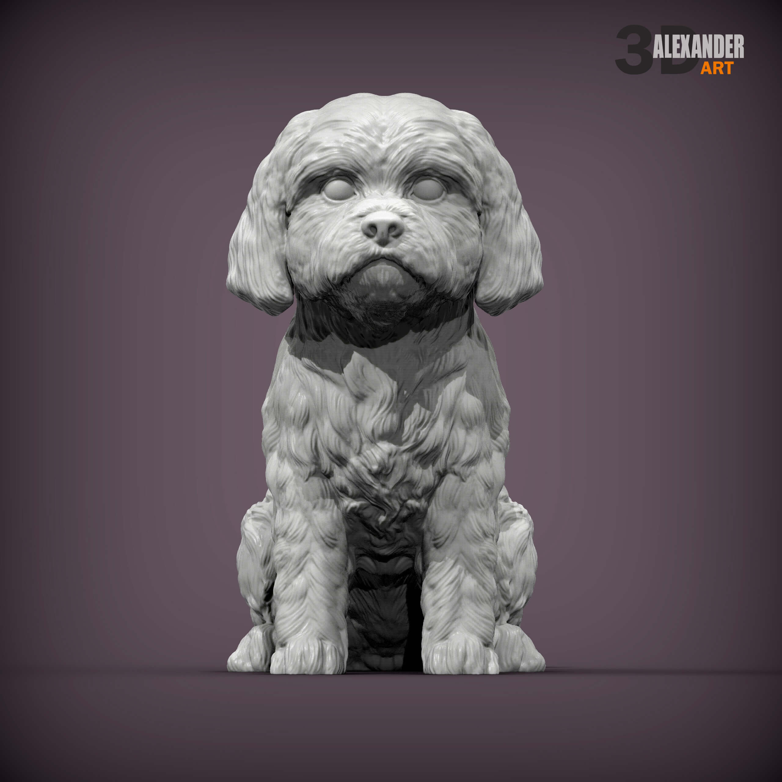 Maltese Dog Sitting - 3D Model by Alexander3dart